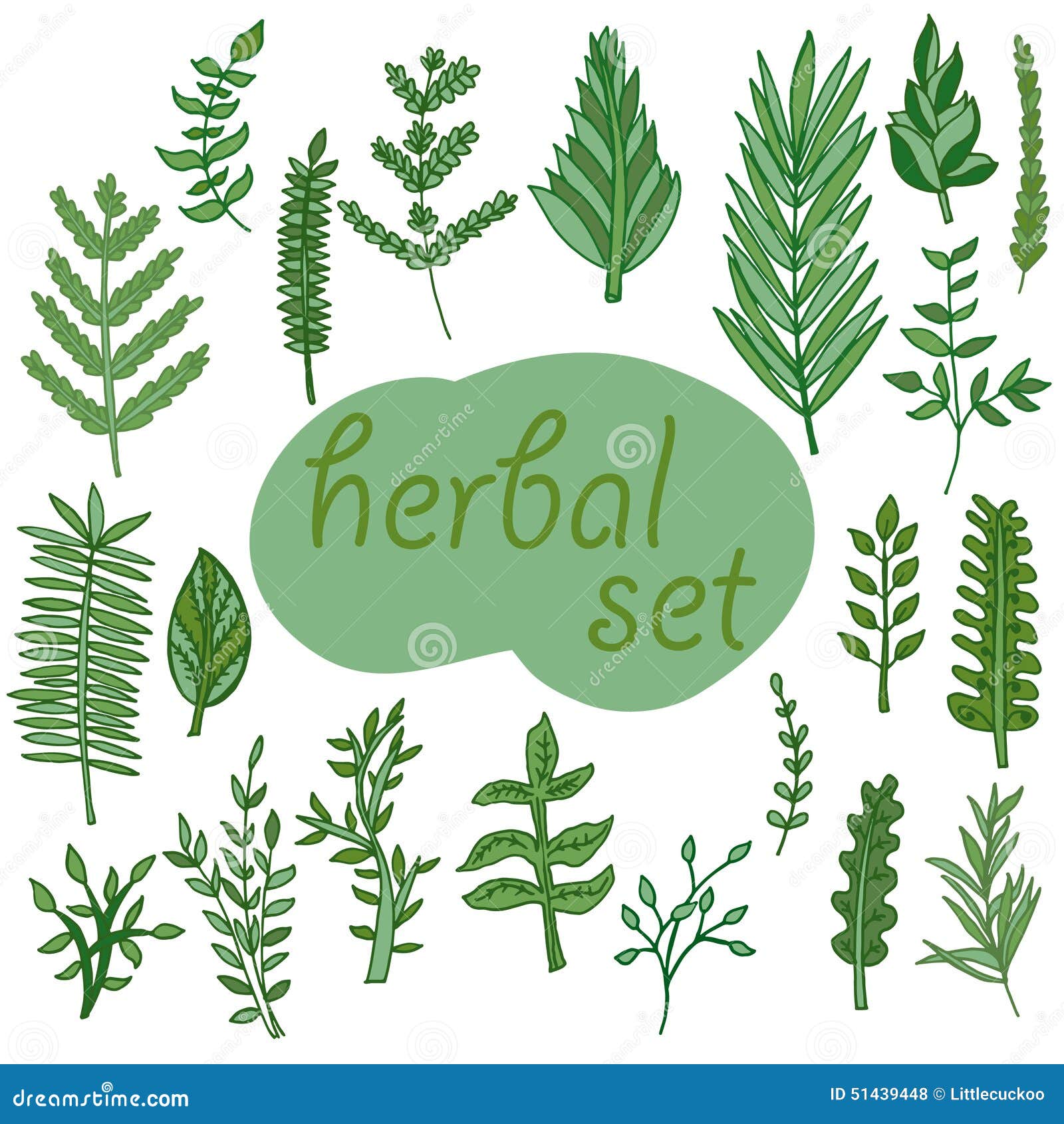 Herbal Set, Vector Hand Drawn Illustration Stock Vector - Illustration ...