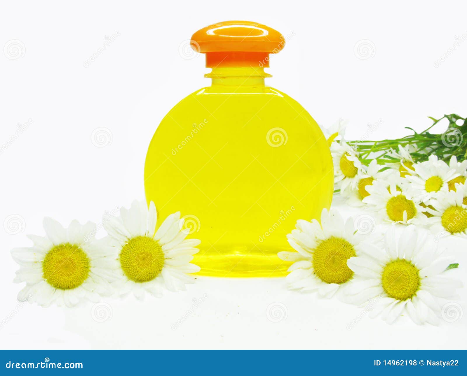 Herbal Shampoo with Daisy Extract Stock Photo - Image of objects ...