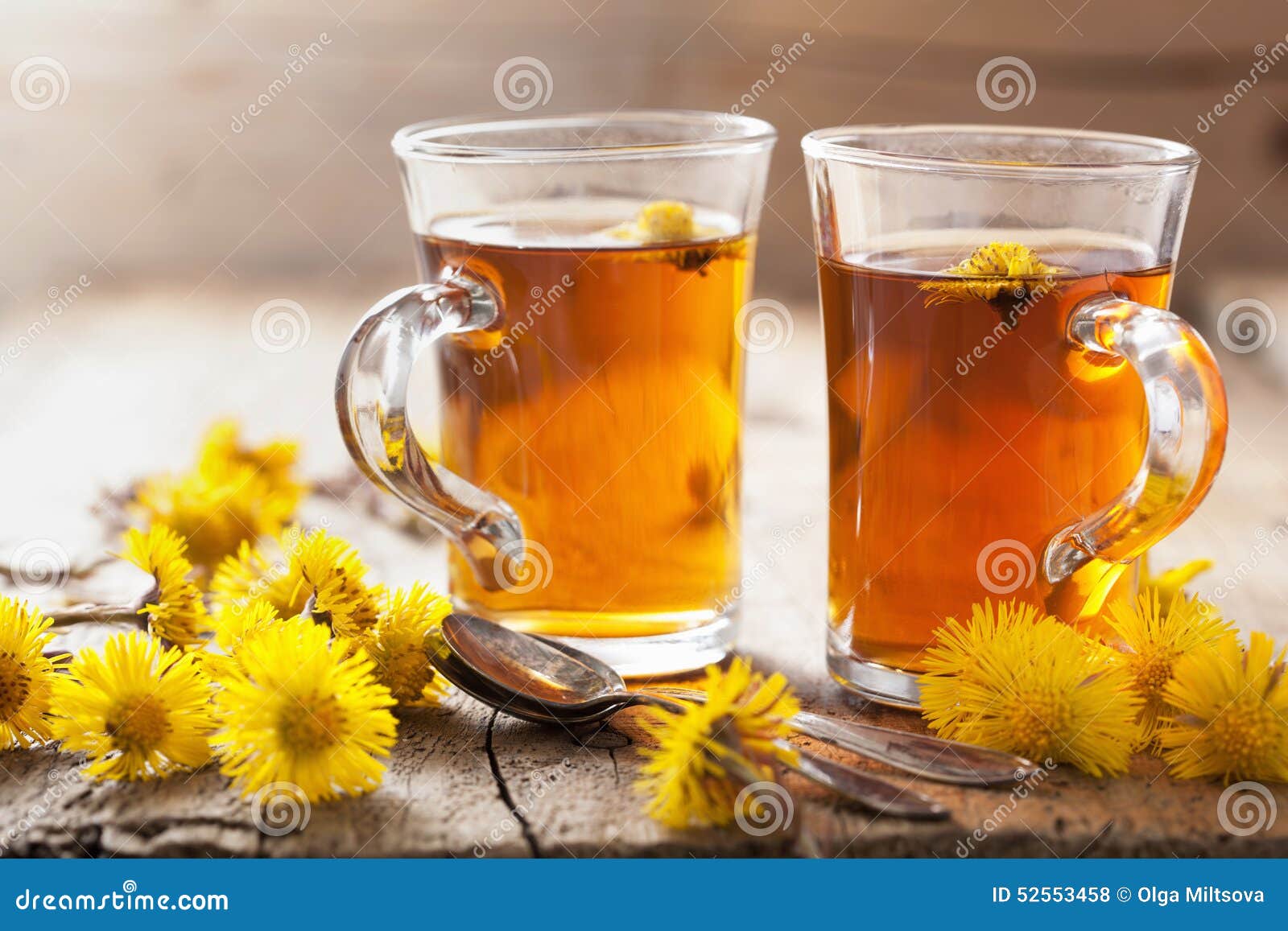 Herbal Tea with Coltsfoot Flowers Stock Photo - Image of plant, blossom ...