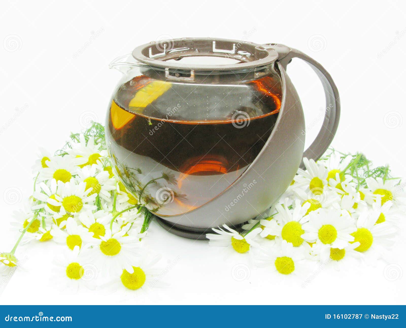 Herbal Tea with Daisy Flowers Stock Image - Image of kettle, herb: 16102787