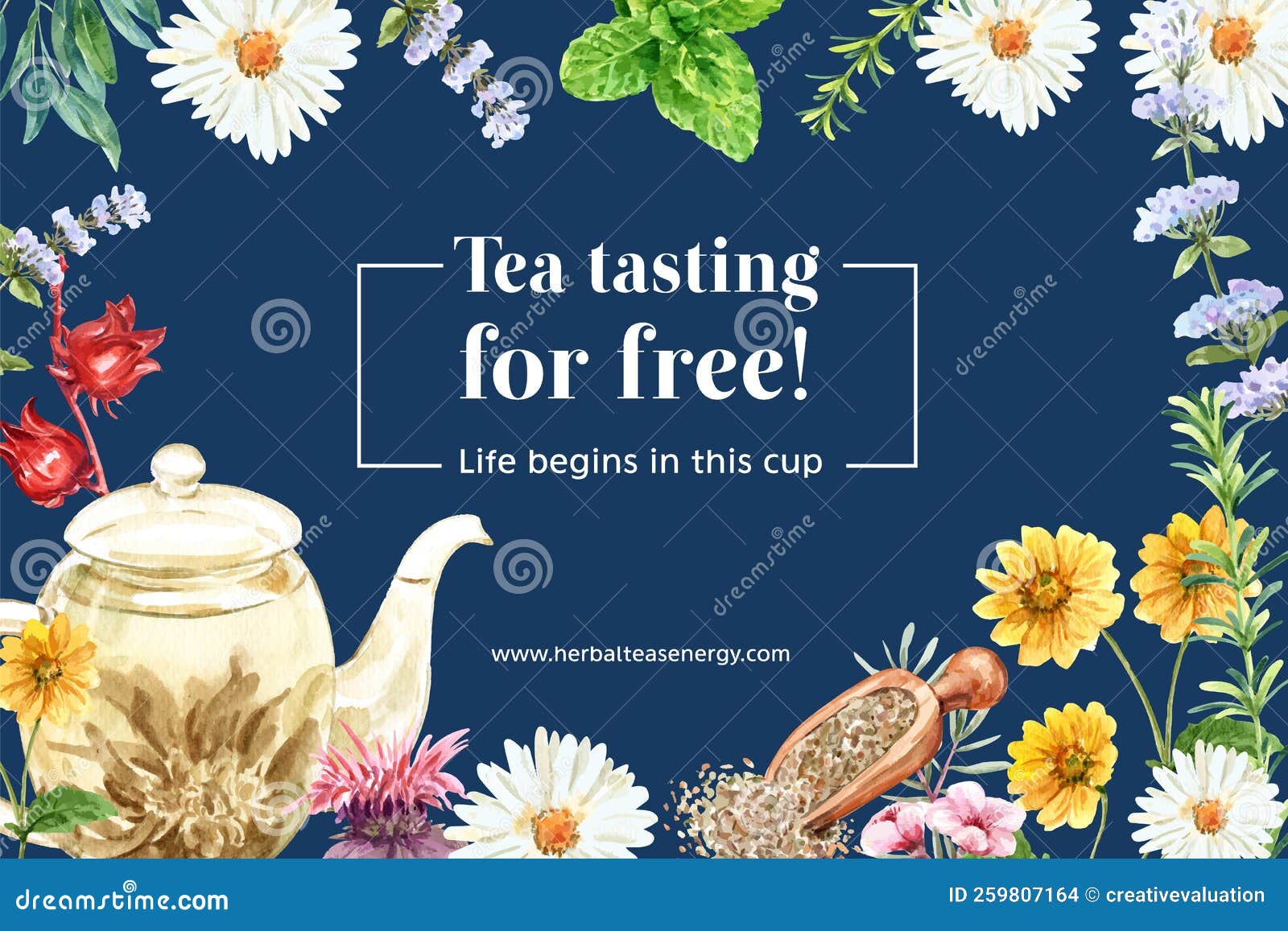 Herbal Tea Frame Design with Mint, Aster, Roselle, Leaf Watercolor ...