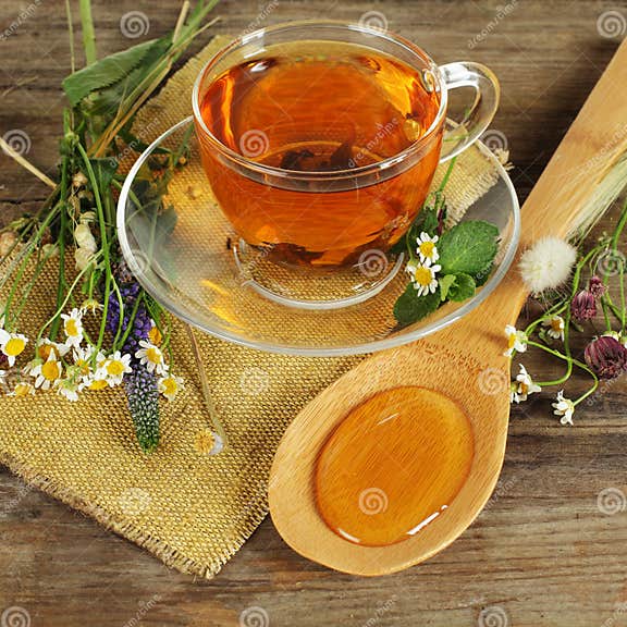 Herbal tea and honey stock photo. Image of ingredient - 23841656