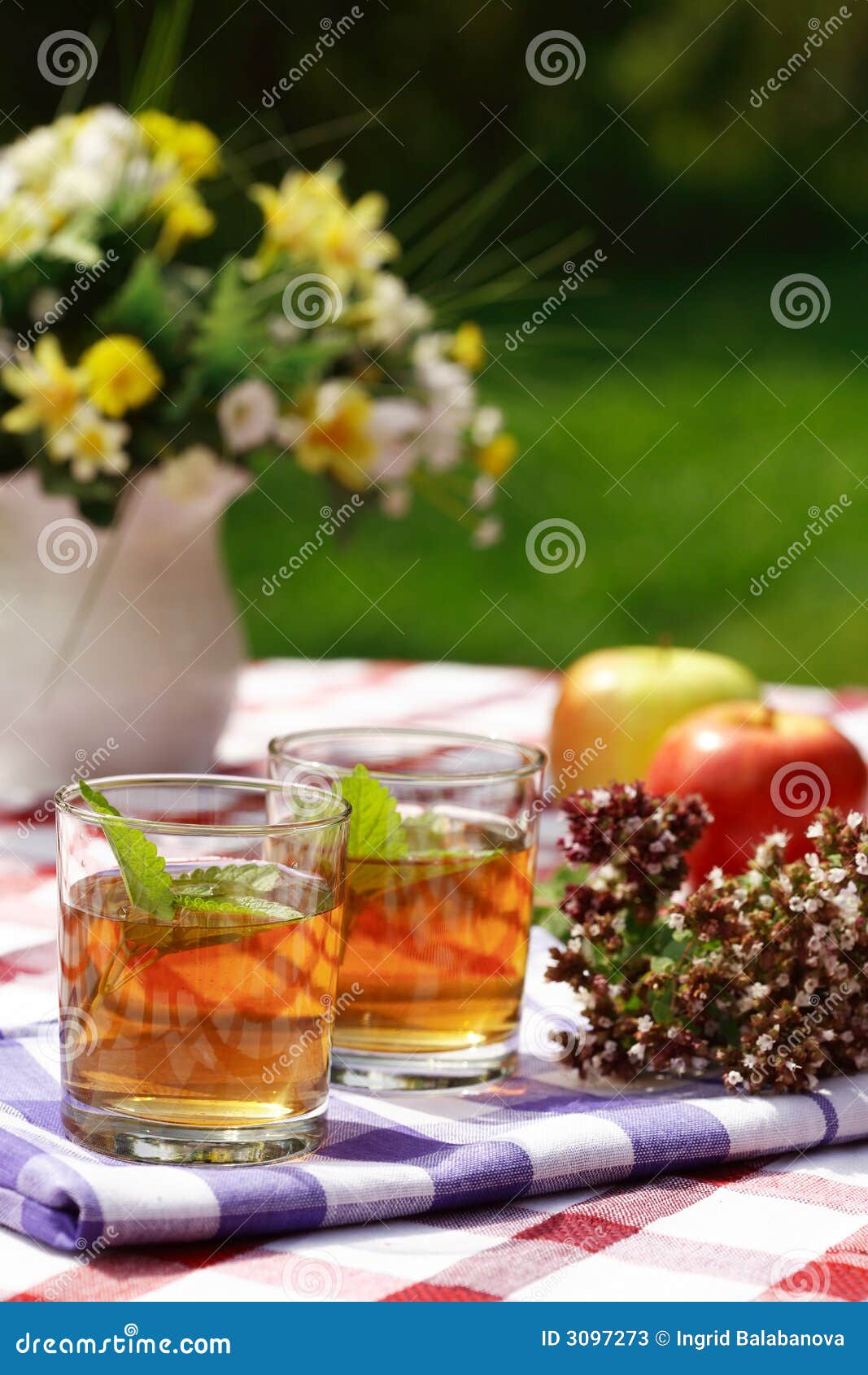 Herbal Tea - Outdoor Dining Stock Image - Image of apples, healing: 3097273