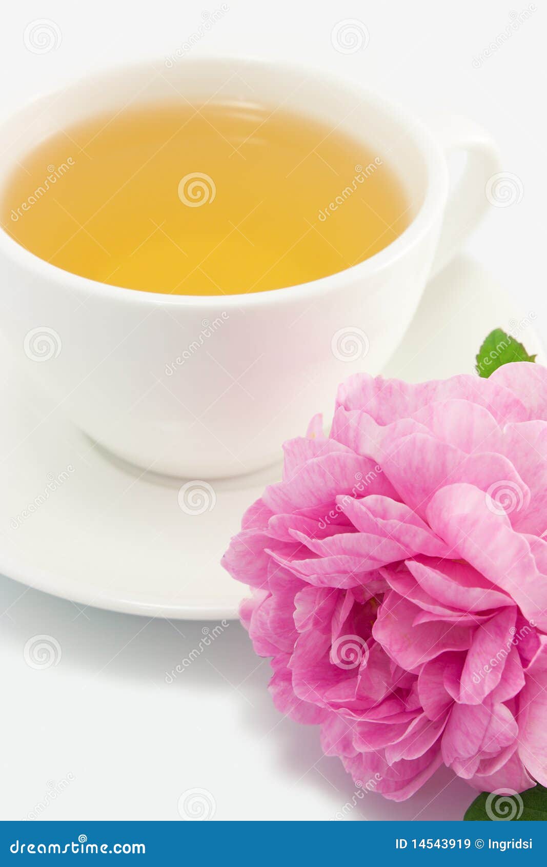 Herbal tea and pink rose stock image. Image of heat, easy - 14543919