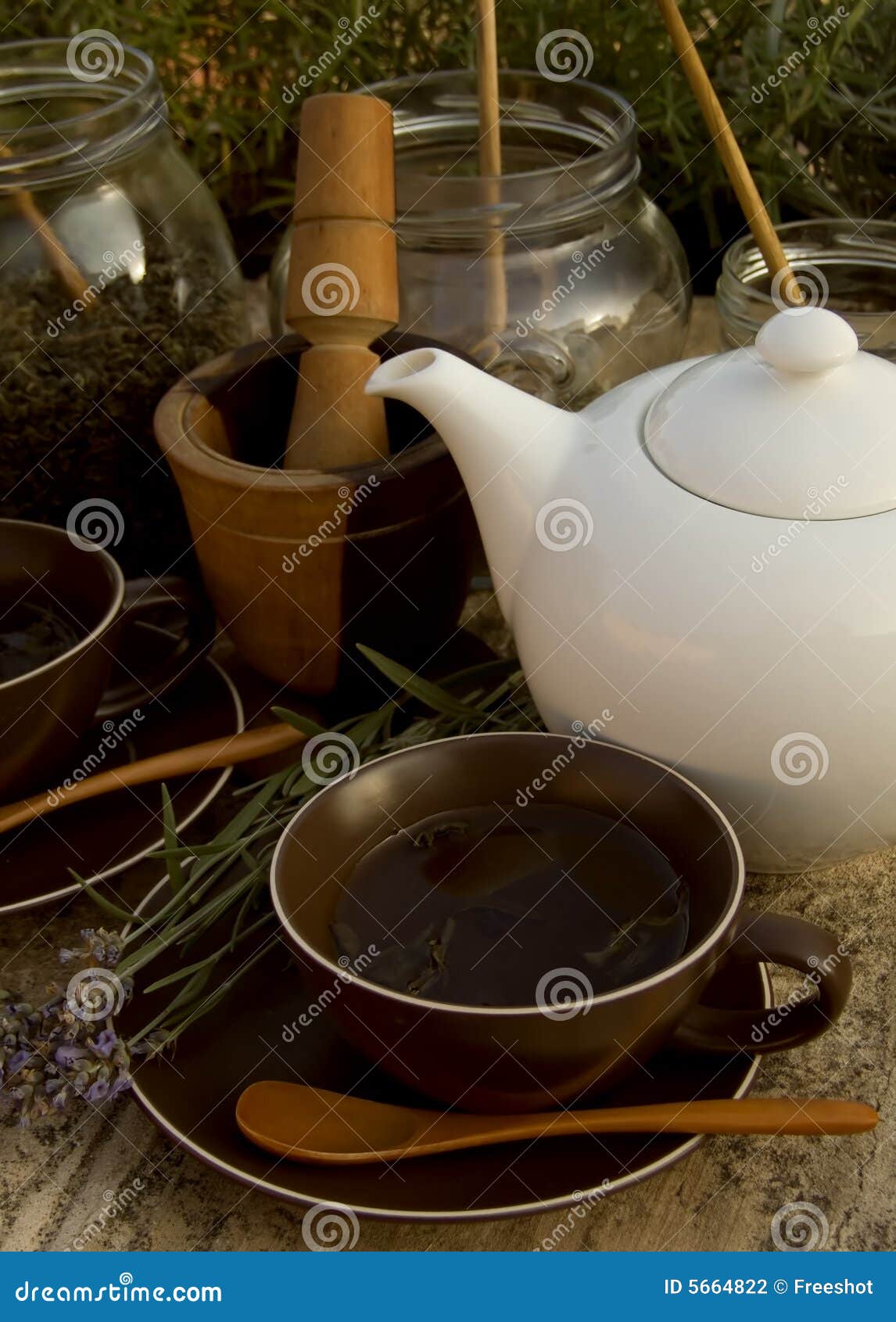 Herbal tea set stock photo. Image of herb, sunlight, nature - 5664822