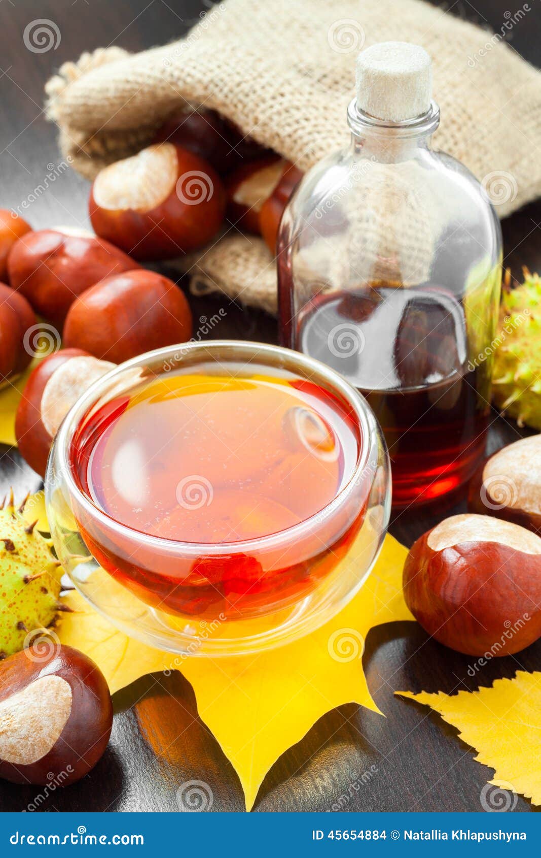 Herbal Tea or Tincture of Chestnuts and Sack with Horse Chestnut Stock ...
