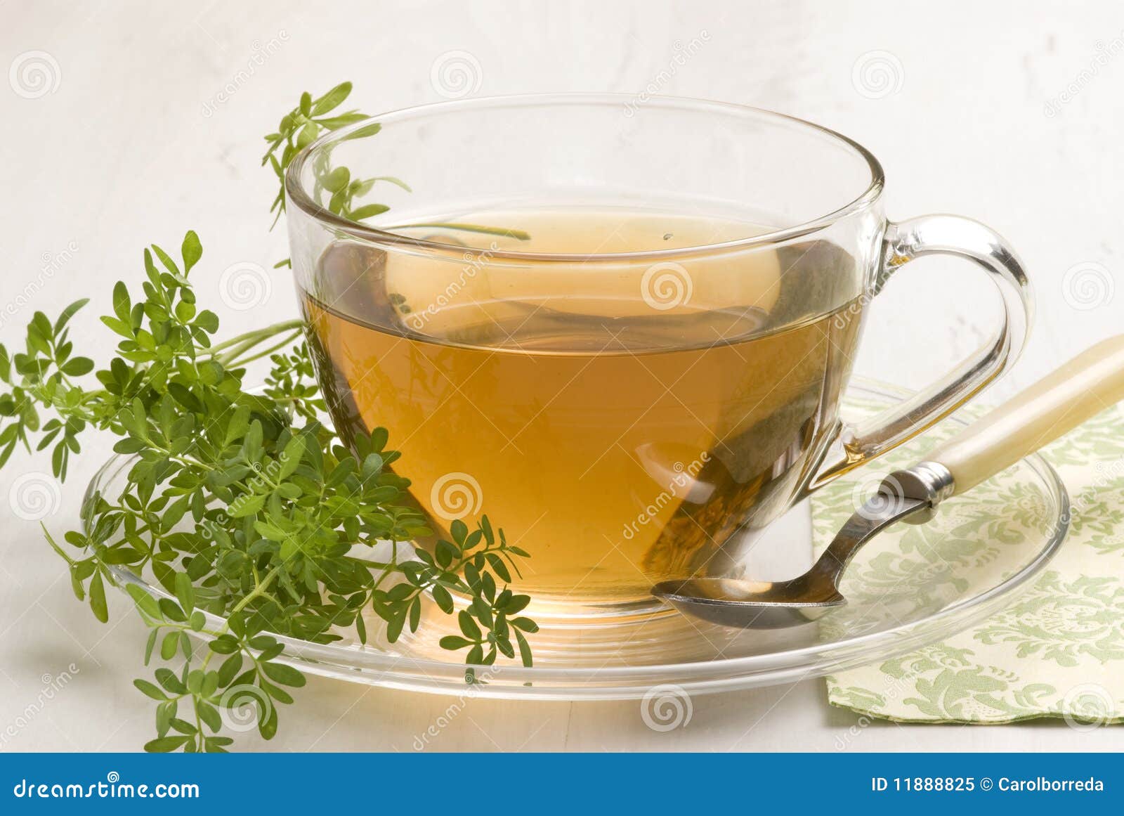 Herbal tea. Wine rue. stock image. Image of infusion - 11888825