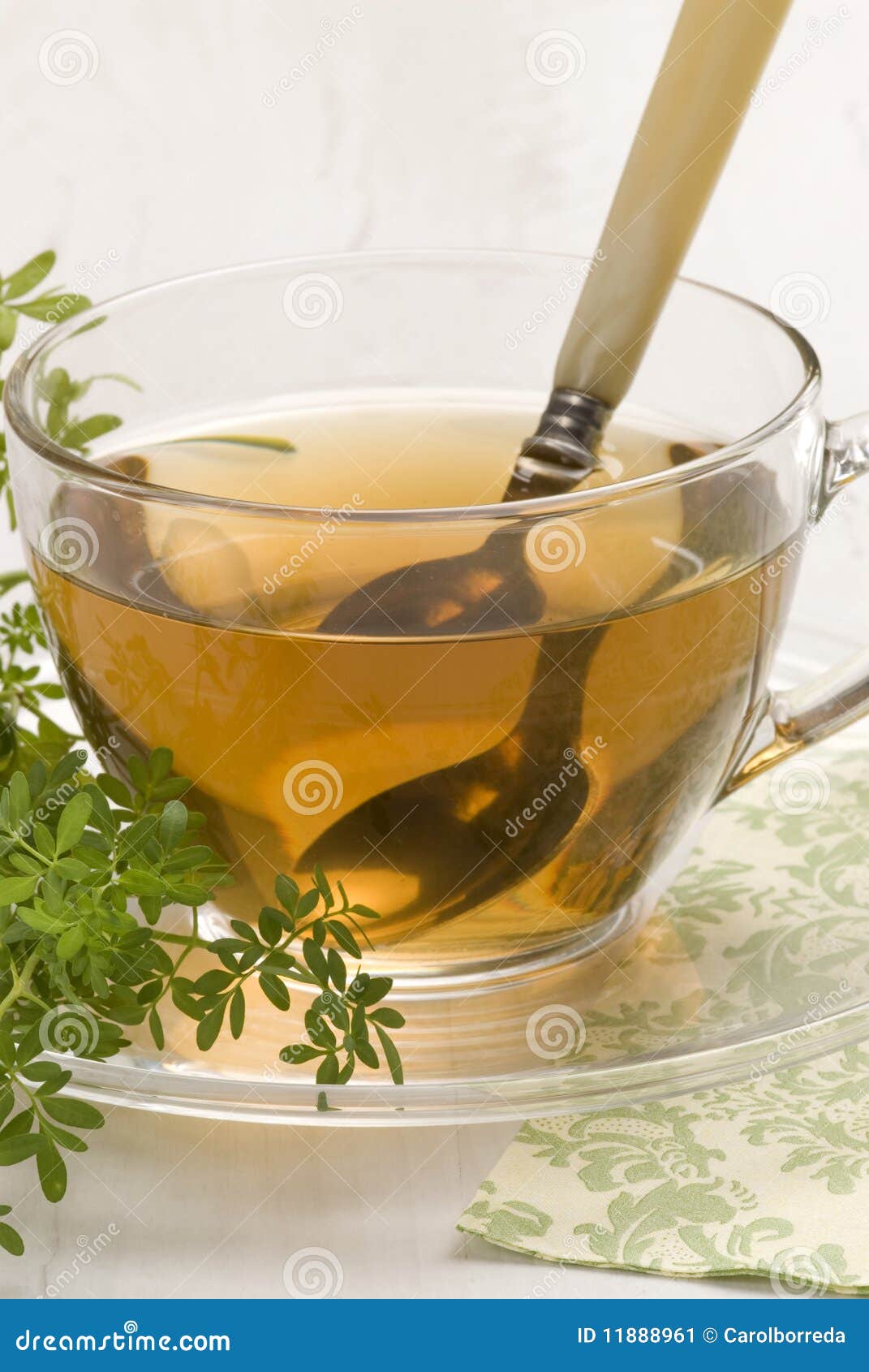 Herbal tea. Wine rue. stock image. Image of still, tisane - 11888961