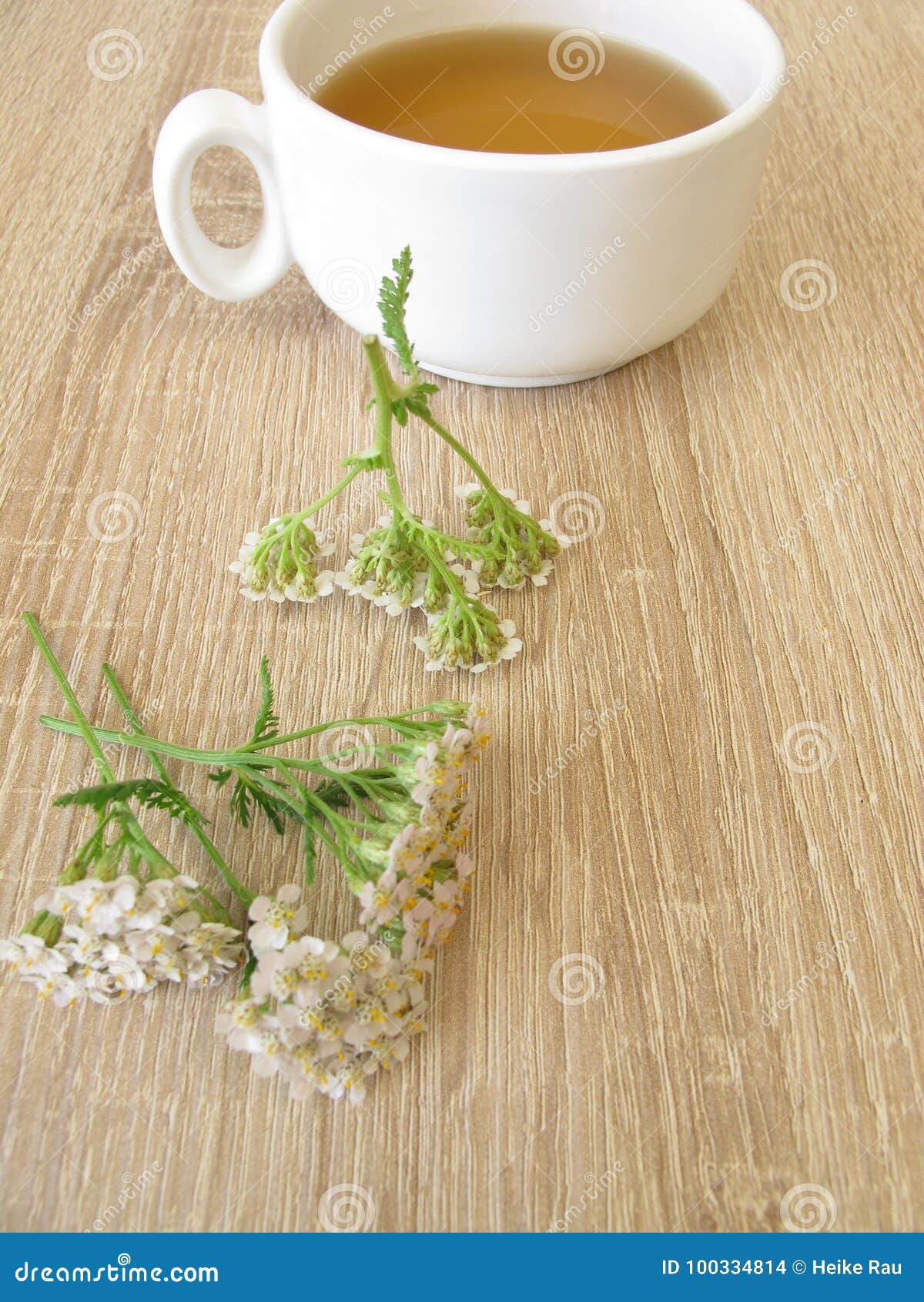Herbal tea with yarrow stock photo. Image of flowers - 100334814