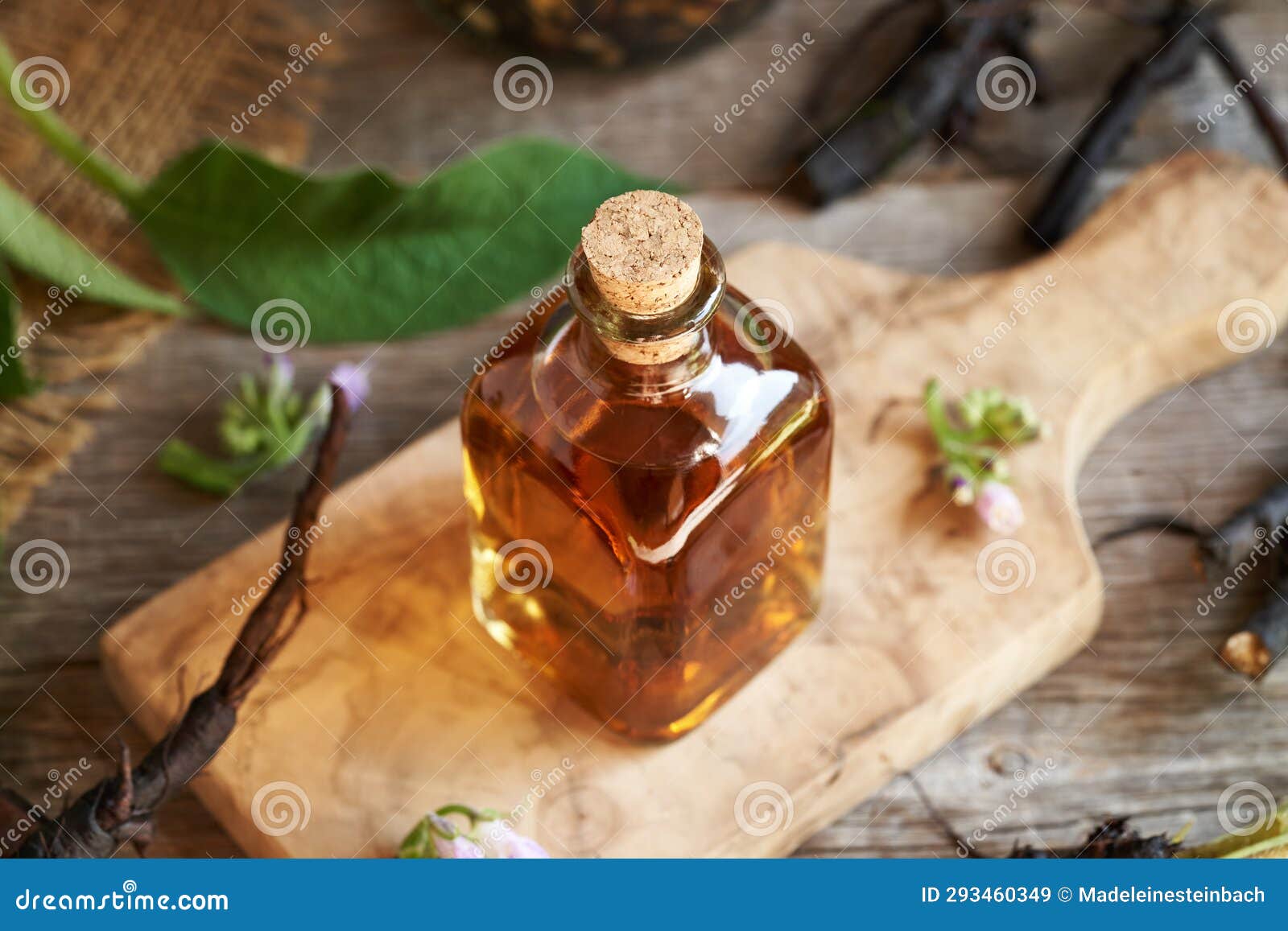 Comfrey Root Tincture in a Glass Bottle Stock Image - Image of leaves ...