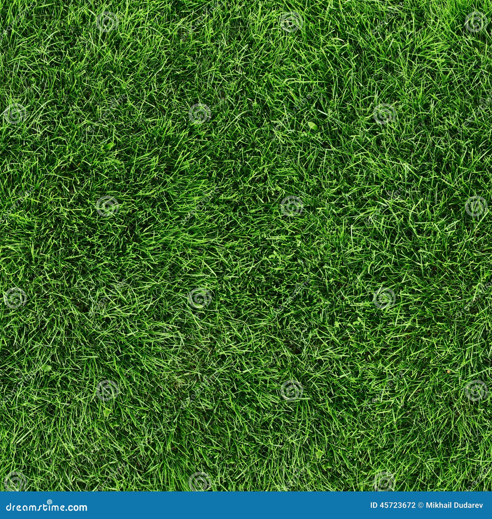 Herbe photo stock. Image du herbe, vert, fond, seamless - 45723672