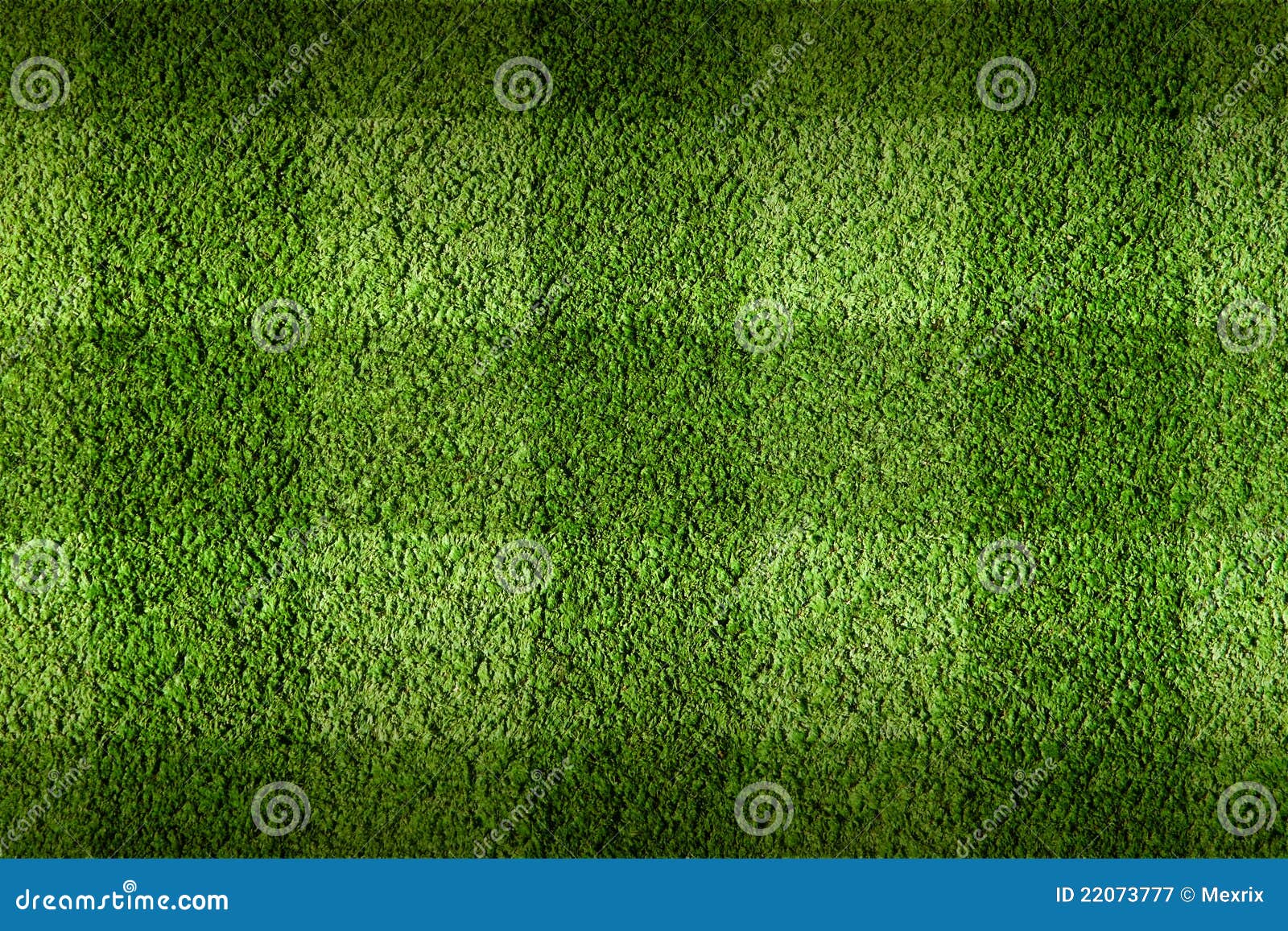 Herbe du football image stock. Image du couleur, artificiel - 22073777