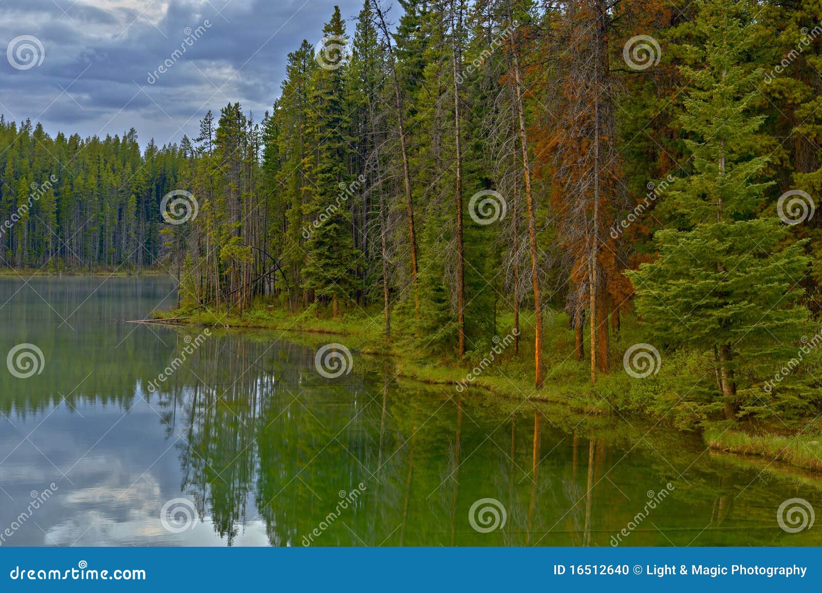 Herbert Lake, Banff NP stock photo. Image of nature, alberta - 16512640