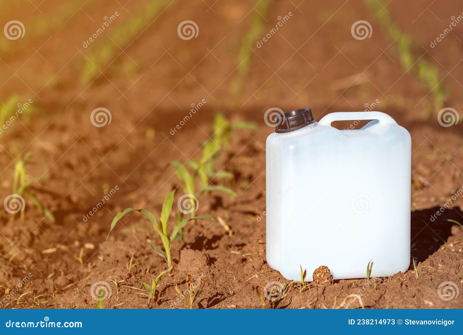 Herbicide Plastic Canister Can in Corn Field Stock Image - Image of ...