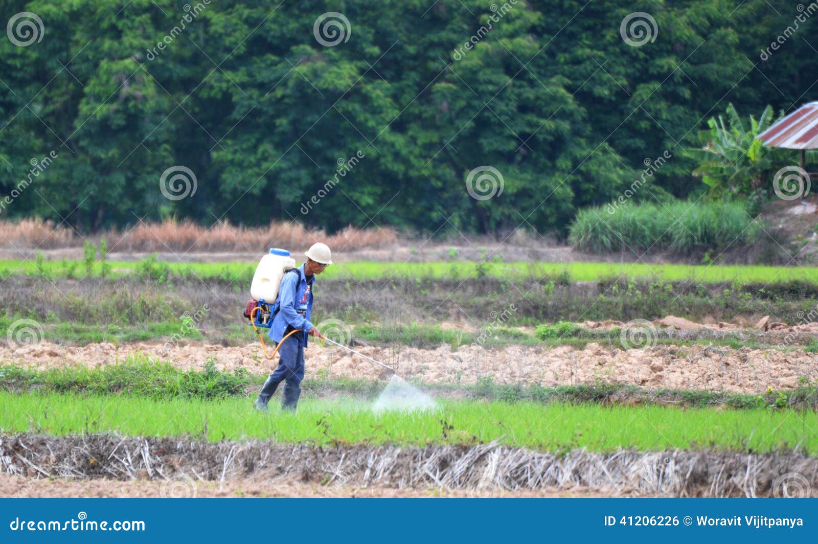 Herbicide Spraying of Farmers Fields Editorial Photo - Image of ...