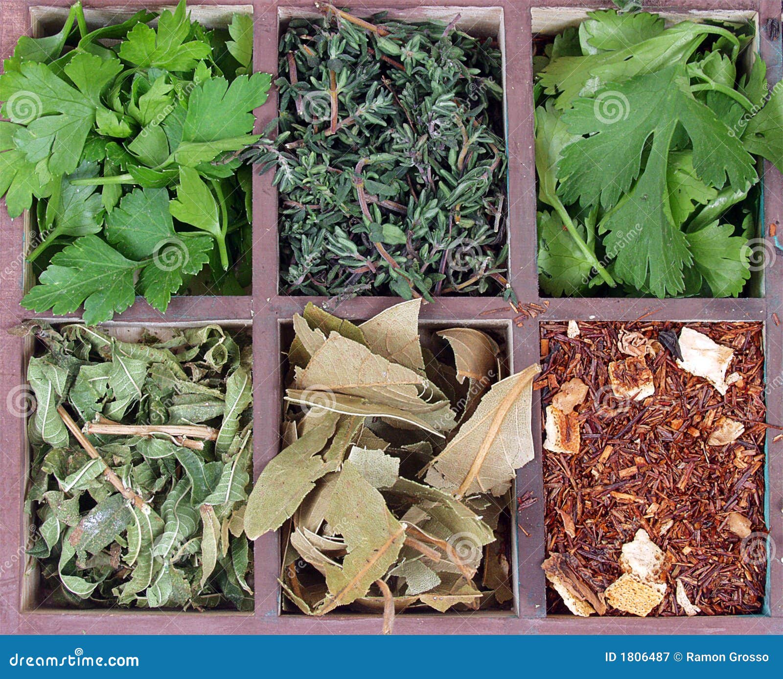 Herbs stock image. Image of ginger, powder, paprika, herbs - 1806487