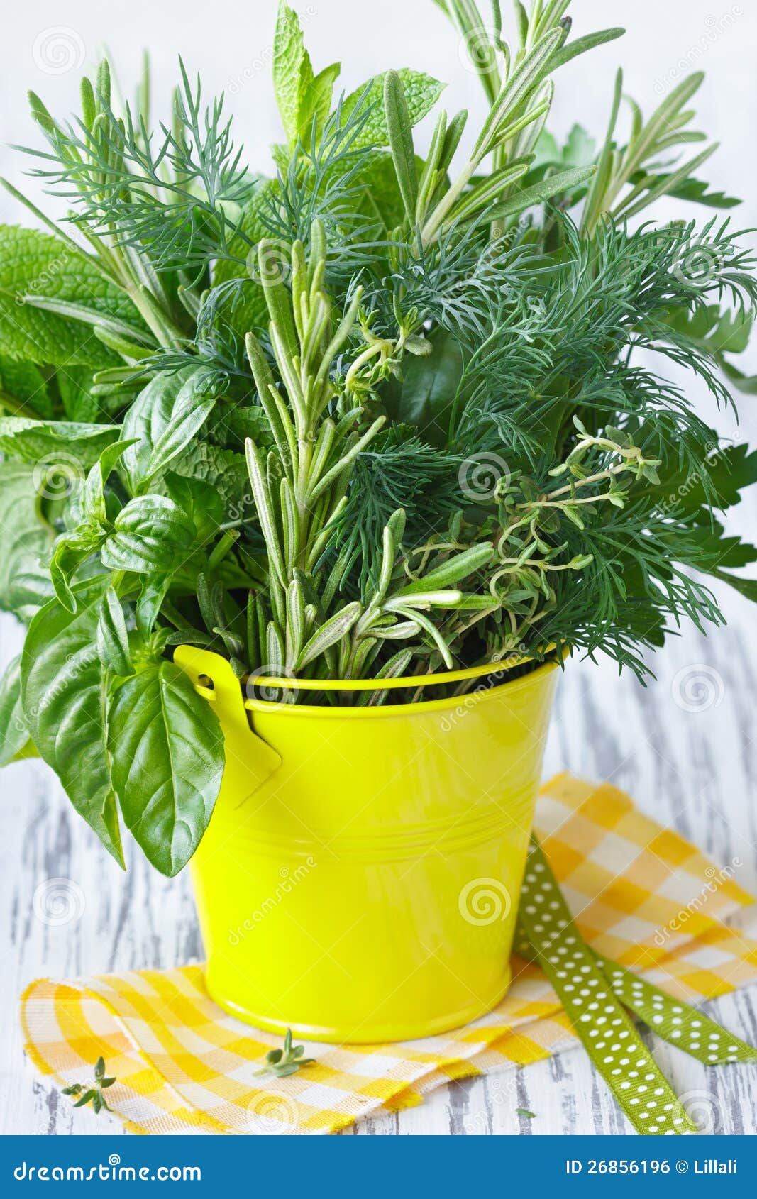 Herbs. stock photo. Image of green, ingredient, bunch - 26856196