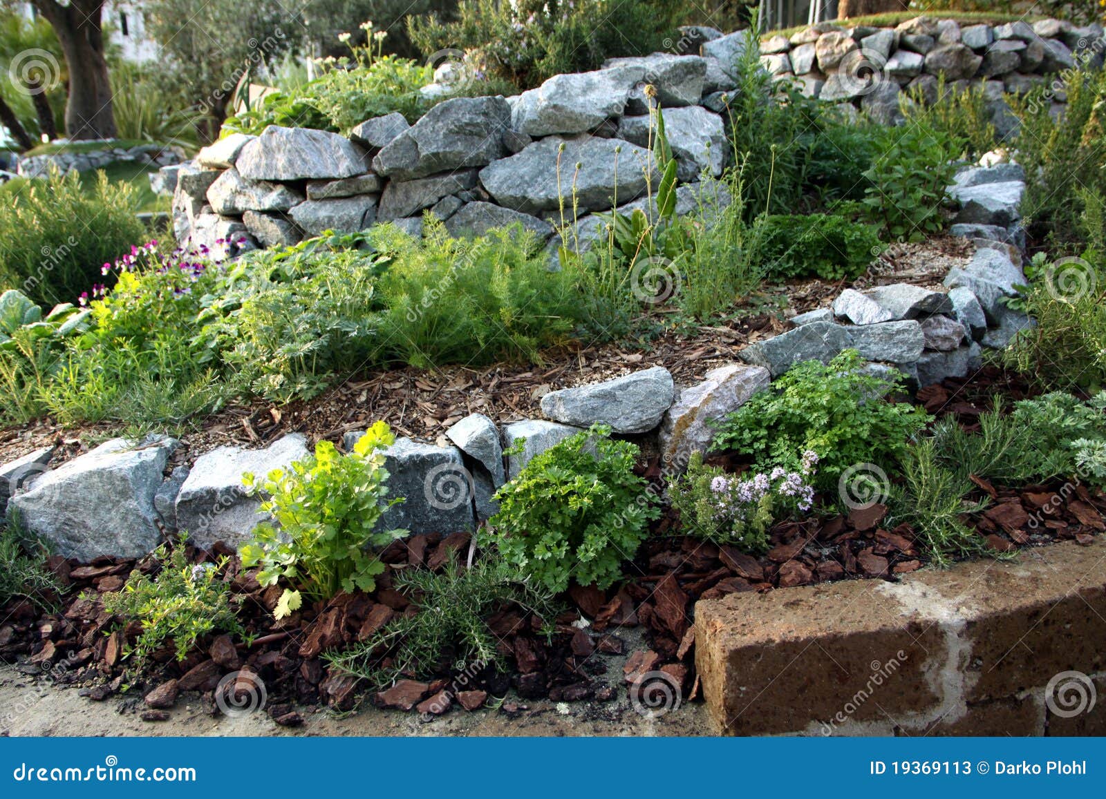 Herbs and Aromatic Plants Spiral Garden Bed Stock Image - Image of ...
