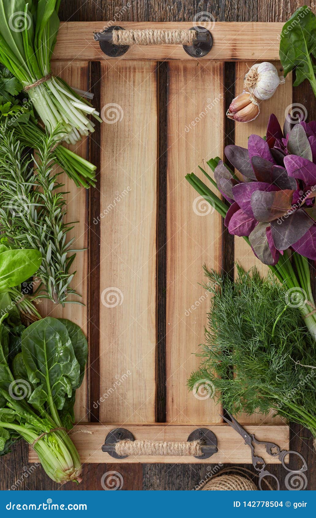 Herbs close-up from above stock photo. Image of modern - 142778504