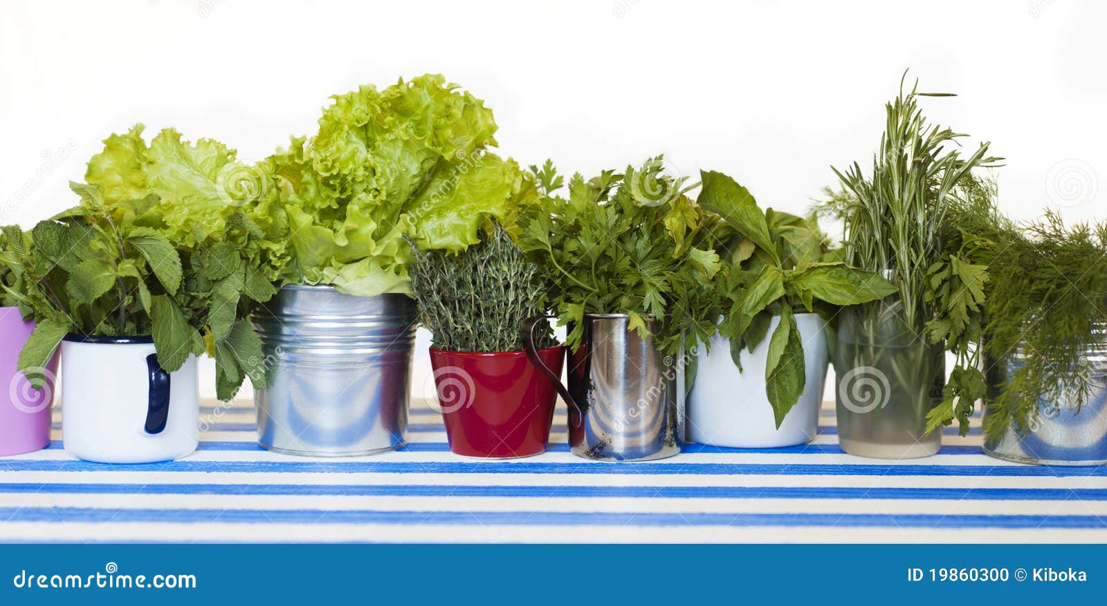 Herbs collection stock photo. Image of organic, fresh - 19860300