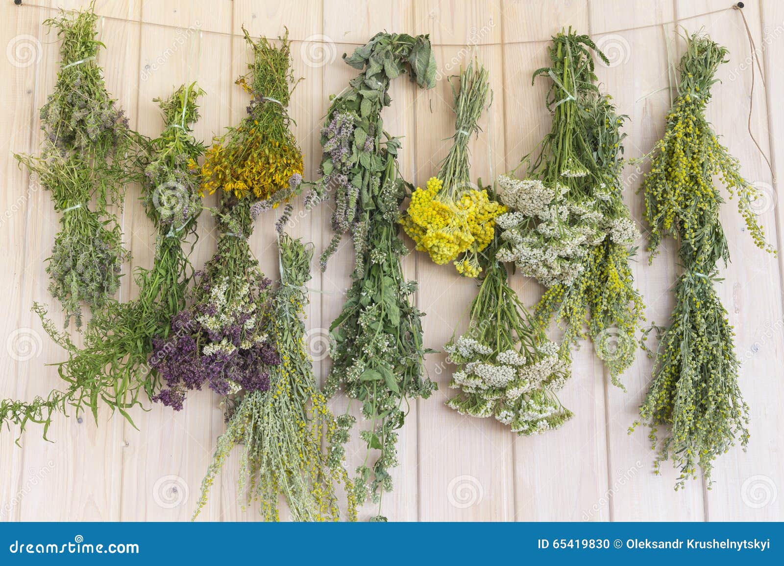 Herbs dried in bunches stock photo. Image of life, color - 65419830
