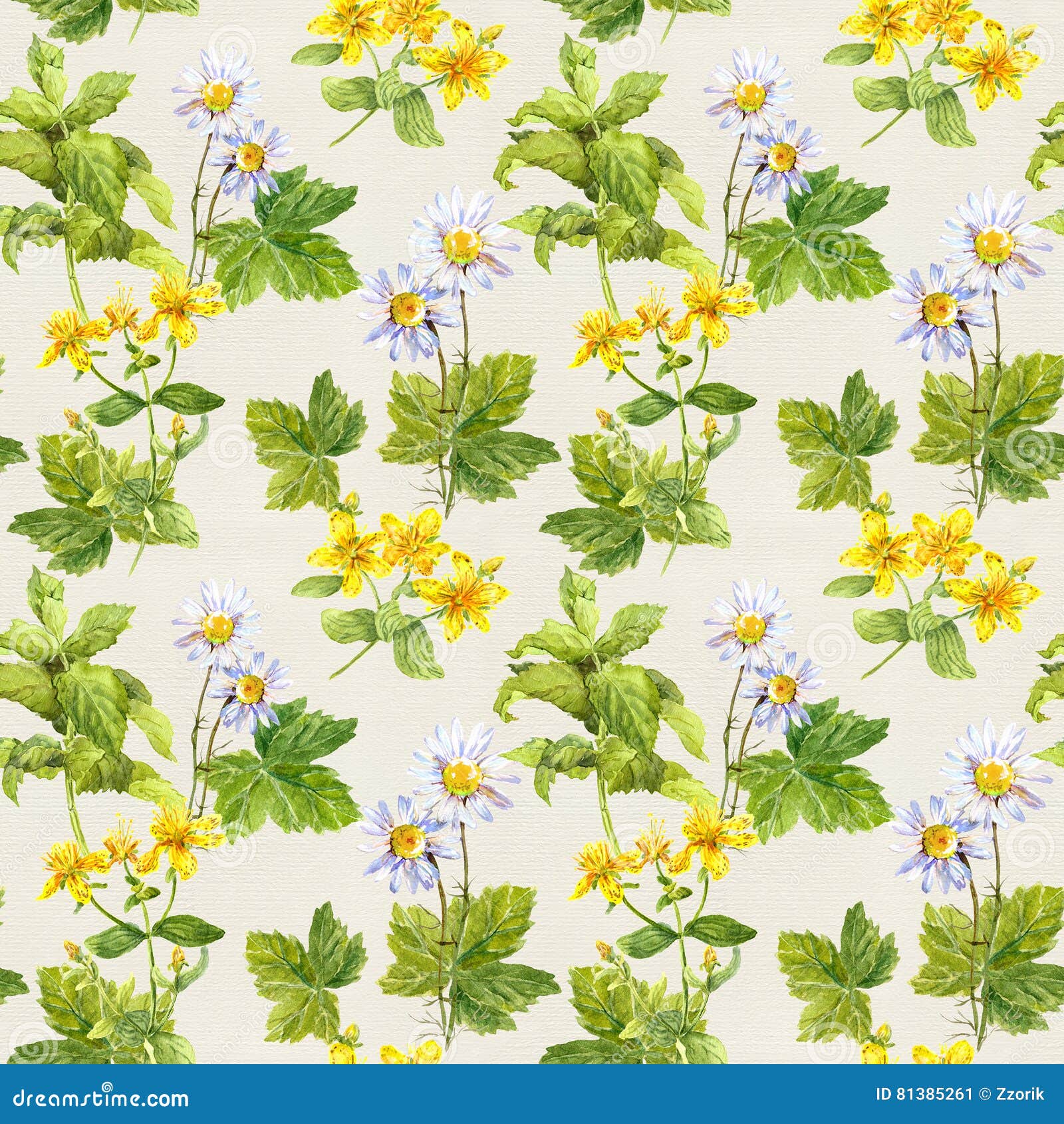 Herbal Seamless Pattern. Botanical Border. Vector Grass Background ... Herbal Seamless Pattern. Botanical Border. Vector Grass Background ...