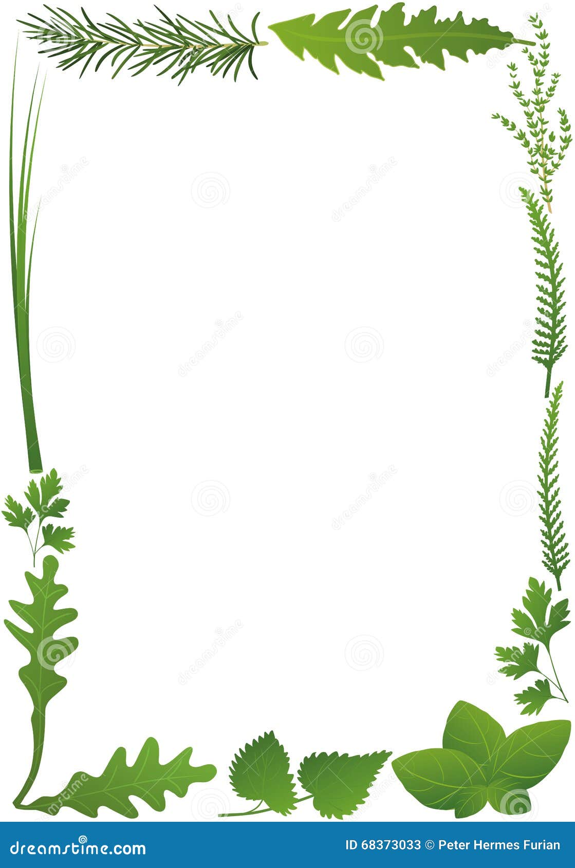 Herbs Frame Vertical Stock Vector - Image: 68373033