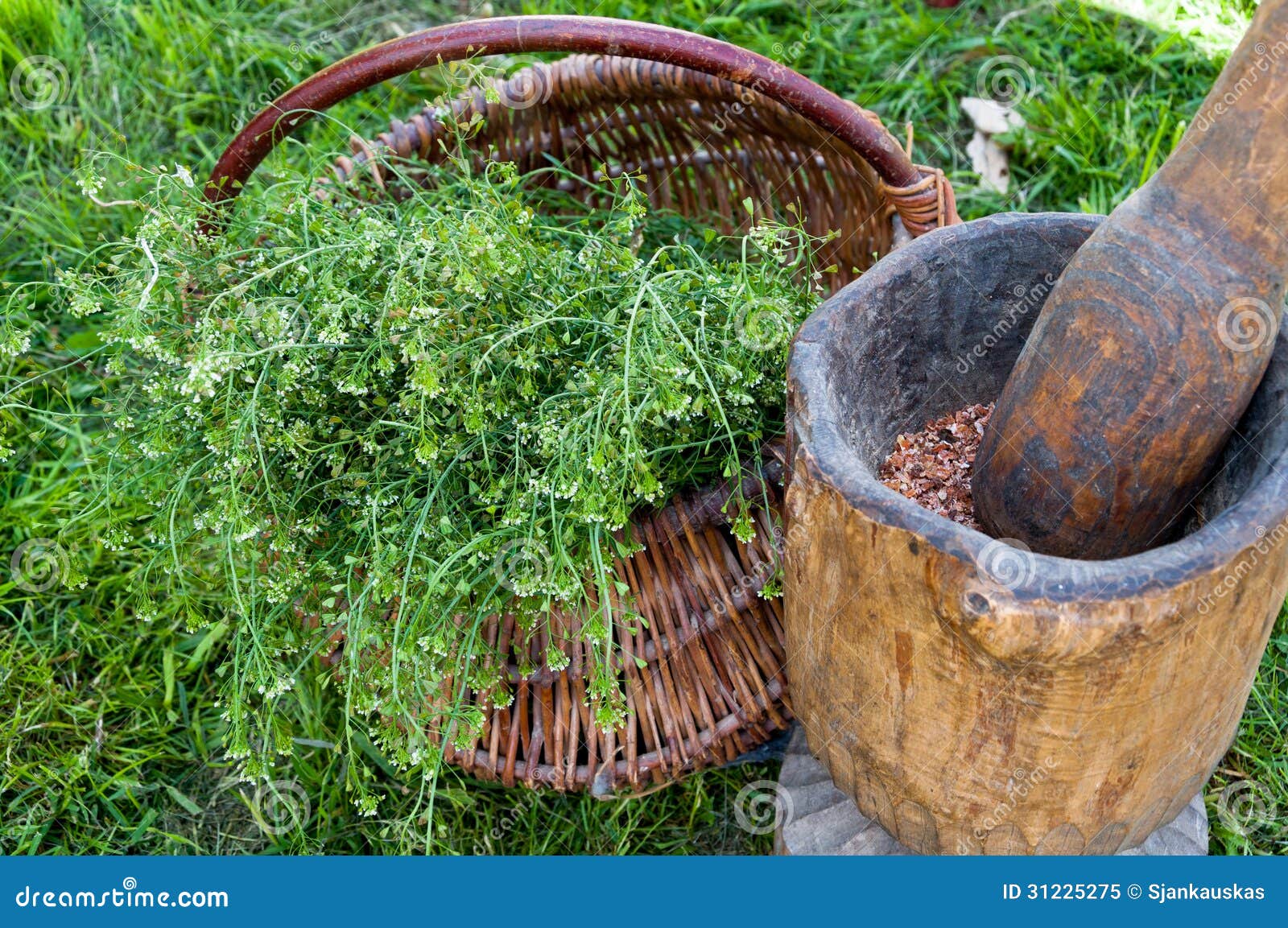 Herbs for healthy living stock image. Image of natural - 31225275