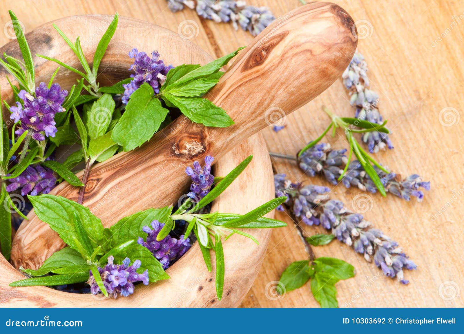 Herbs & Lavender stock photo. Image of botanical - 10303692 Herbs & Lavender stock photo. Image of botanical - 10303692