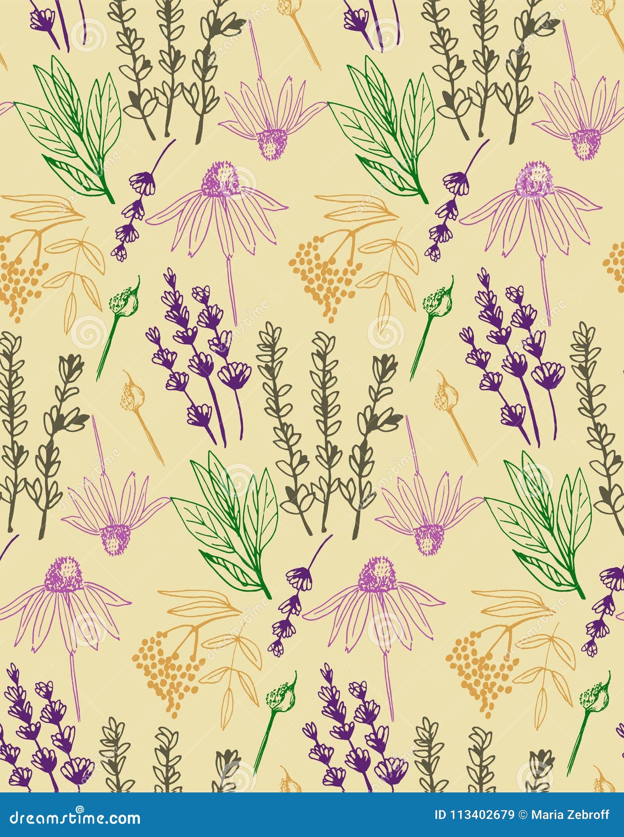 Herbs and Medicinal Plants Collection Seamless Pattern. Stock Vector ... Herbs and Medicinal Plants Collection Seamless Pattern. Stock Vector ...