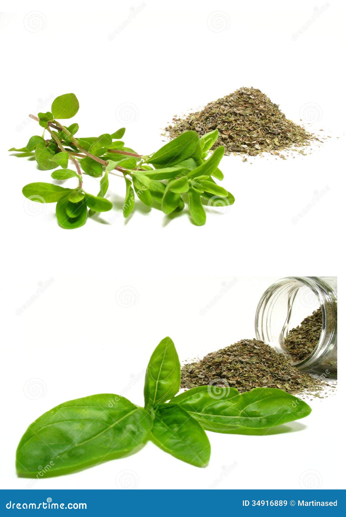 Herbs stock image. Image of wholesome, green, basil, ingredients - 34916889