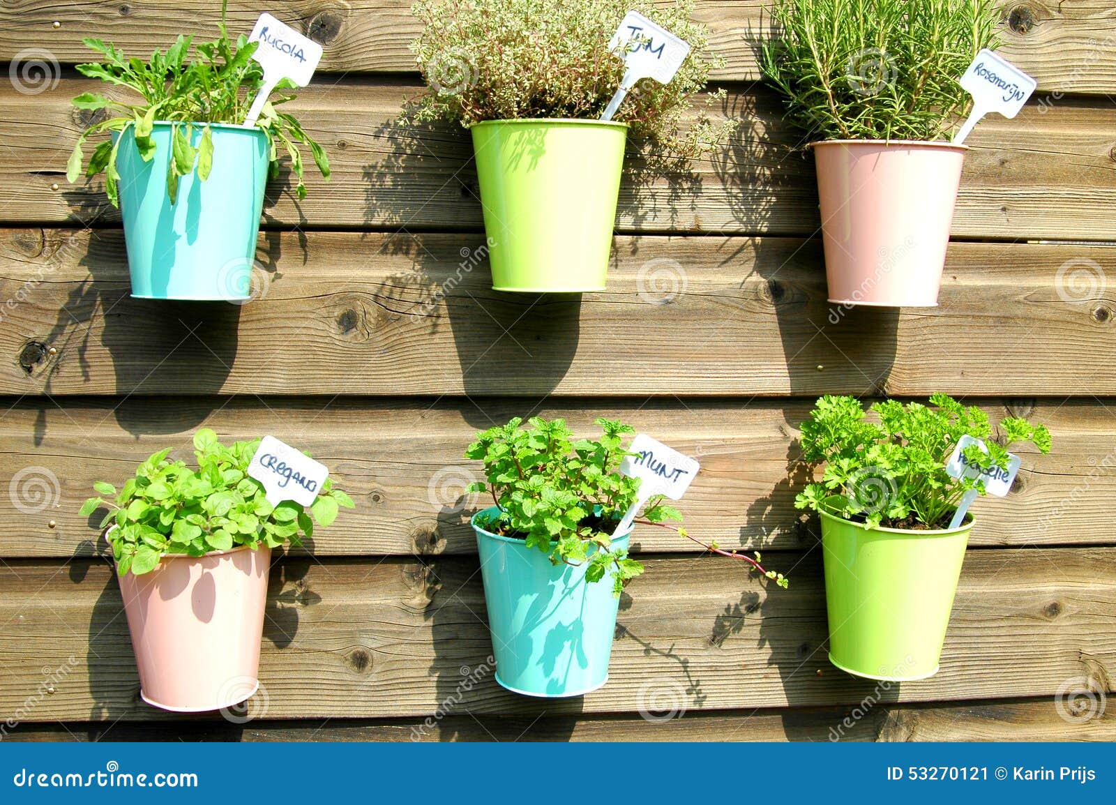 Herbs in pot in the garden stock image. Image of bladeren - 53270121