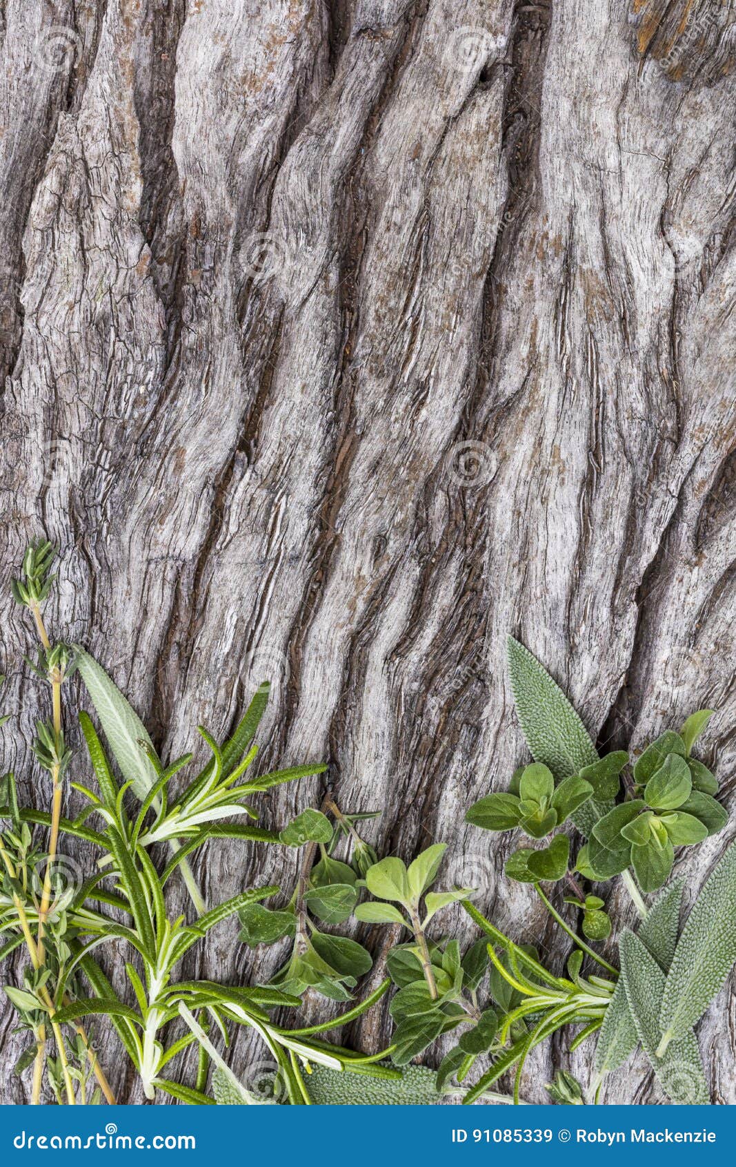 Herbs on Rough Old Timber Top View Stock Image - Image of border ...