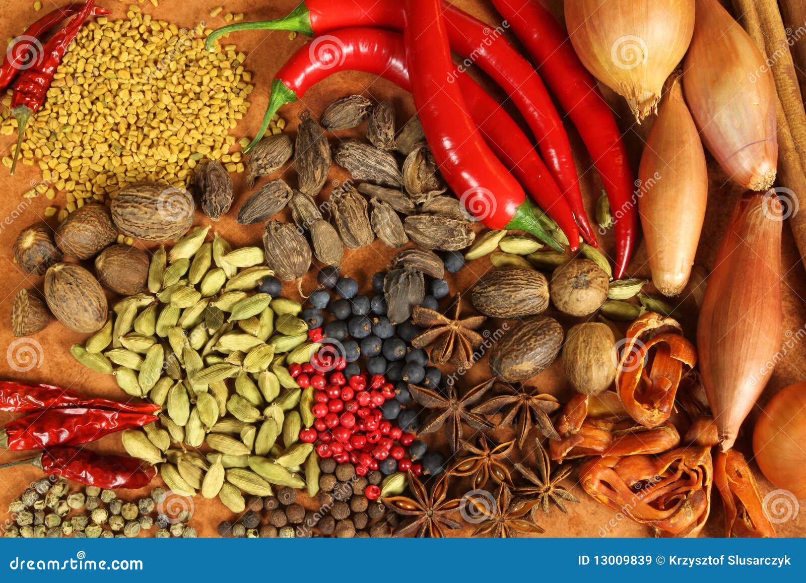 Herbs and spices stock image. Image of fenugreek, additives - 13009839