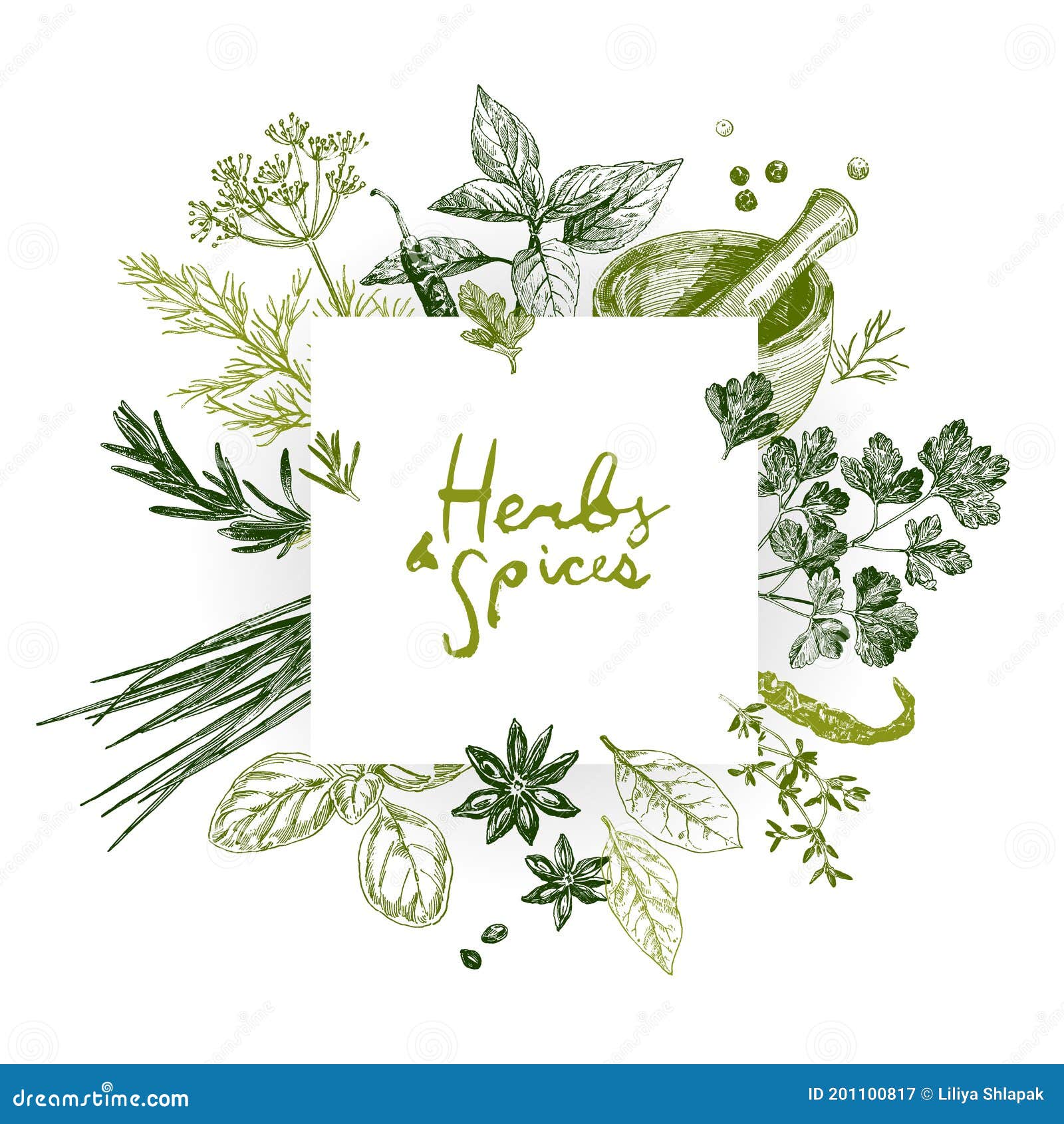 Herbs and Spices Background Template Stock Vector - Illustration of ...