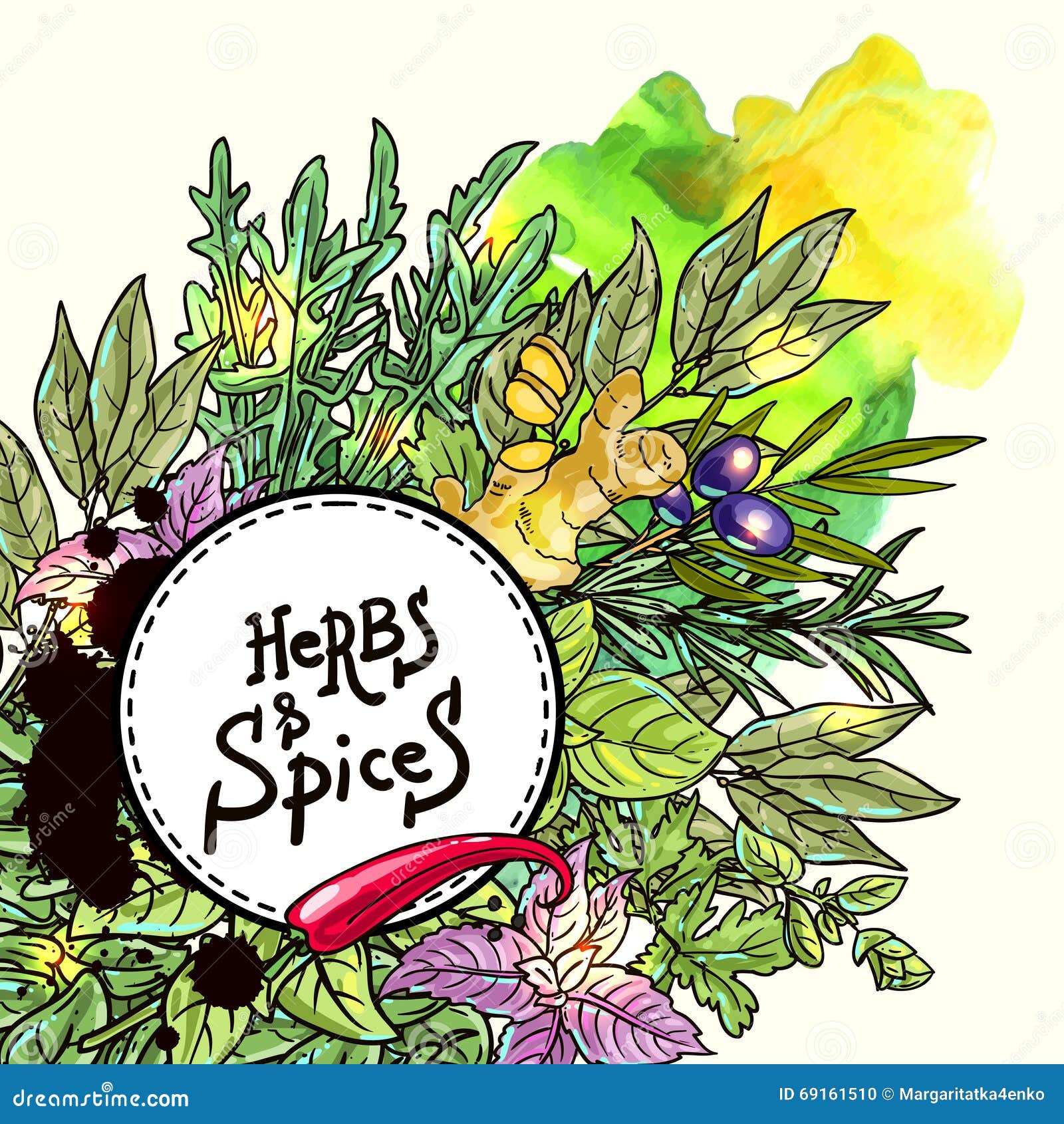 Herbs and spices stock vector. Illustration of isolated - 69161510