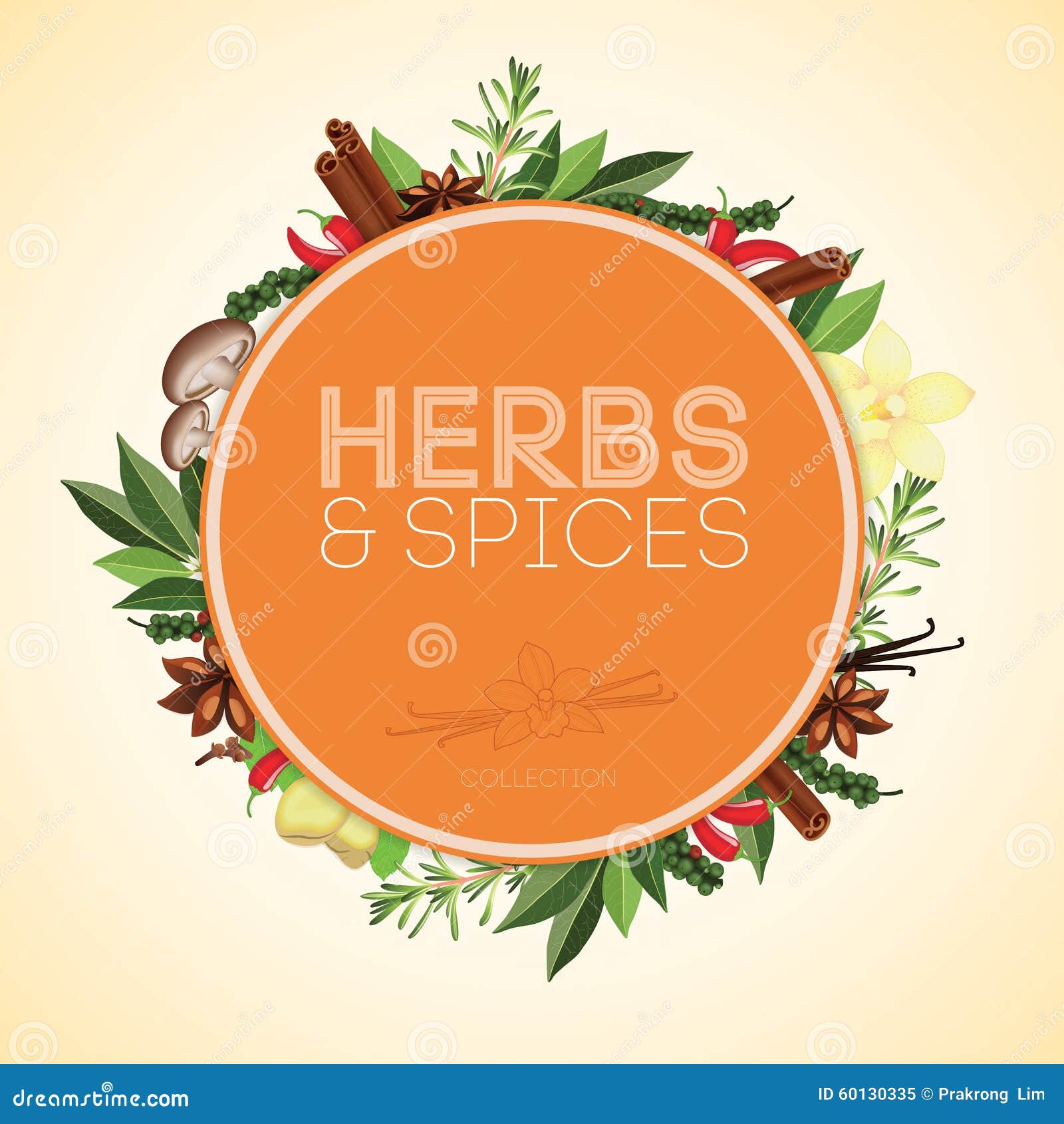 Herbs and spices stock vector. Illustration of mint, food - 60130335