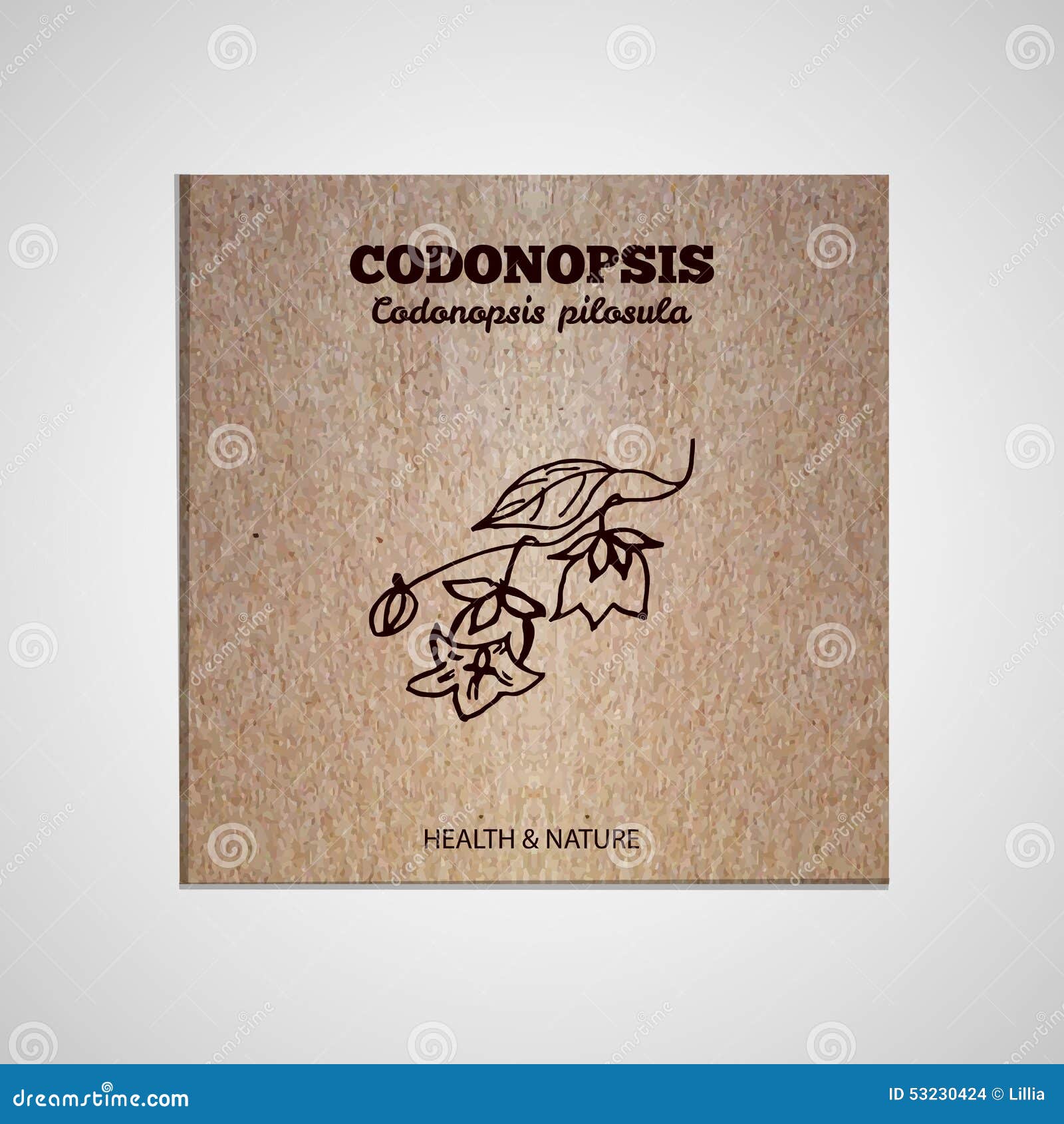 Codonopsis Pilosula, Or Dang Shen, Or Poor Man S Ginseng. Medicinal ...