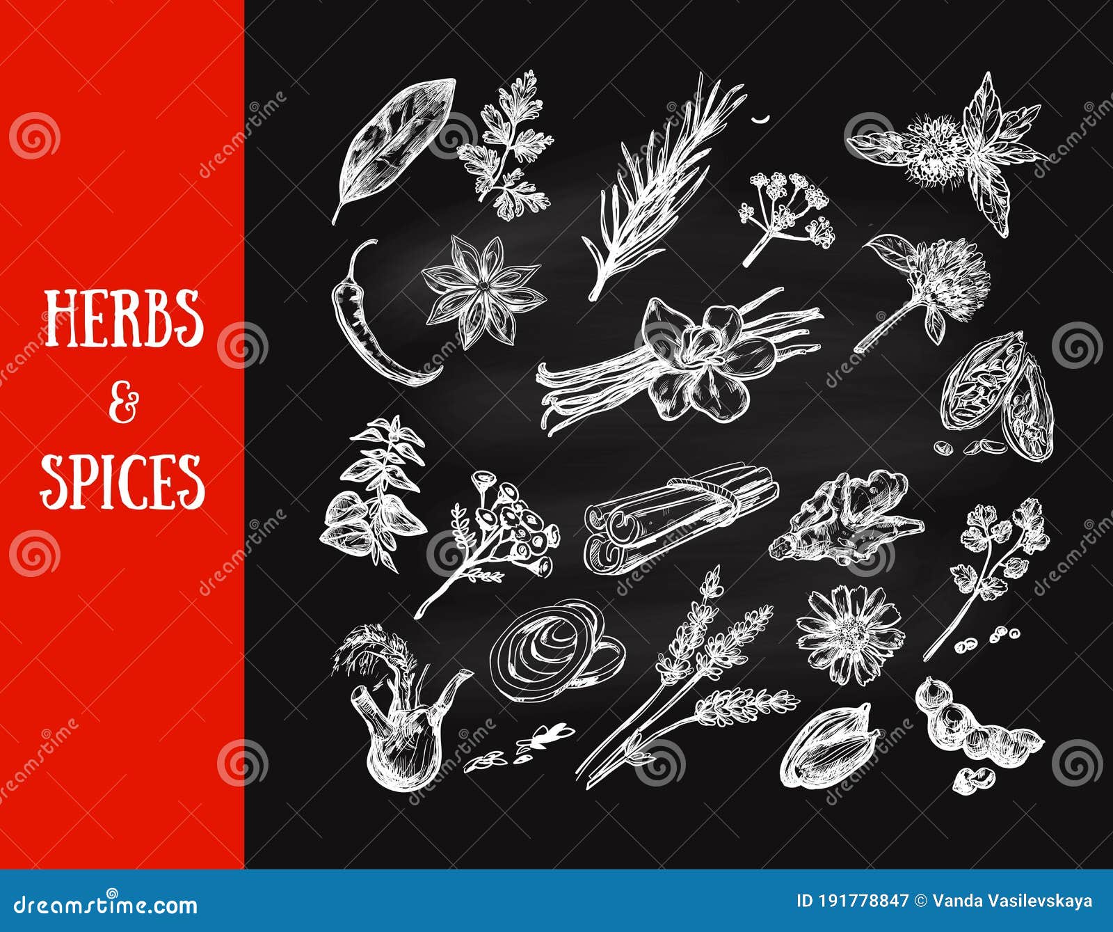 Herbs and Spices Collection. Vector Hand Drawn Illustration Stock ...