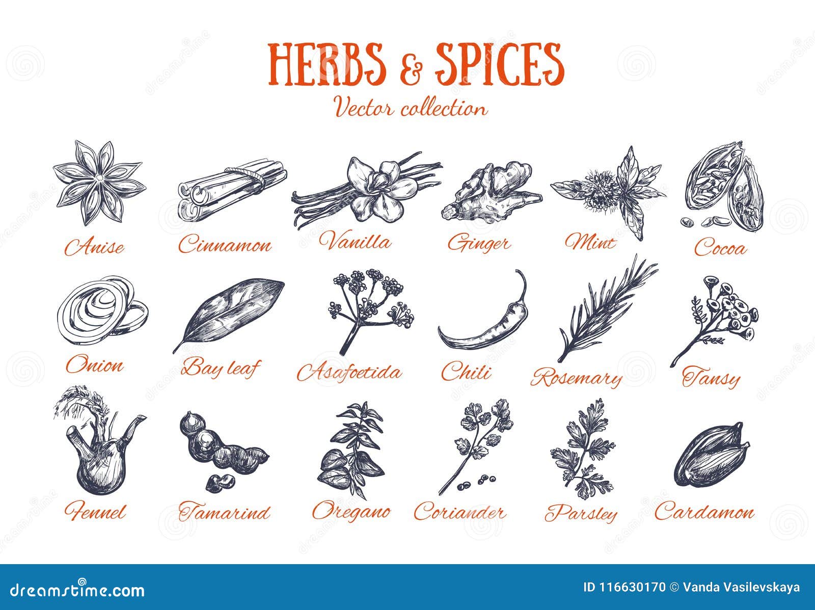 Herbs and Spices Condiments 4 Stock Vector - Illustration of icons ...