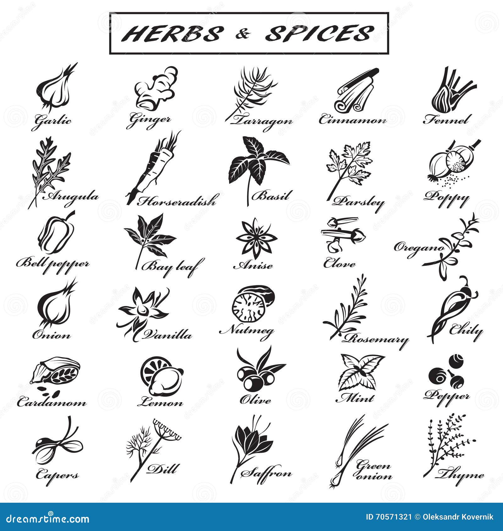 Herbs and spices stock vector. Illustration of herb, collection - 70571321 Herbs and spices stock vector. Illustration of herb, collection - 70571321