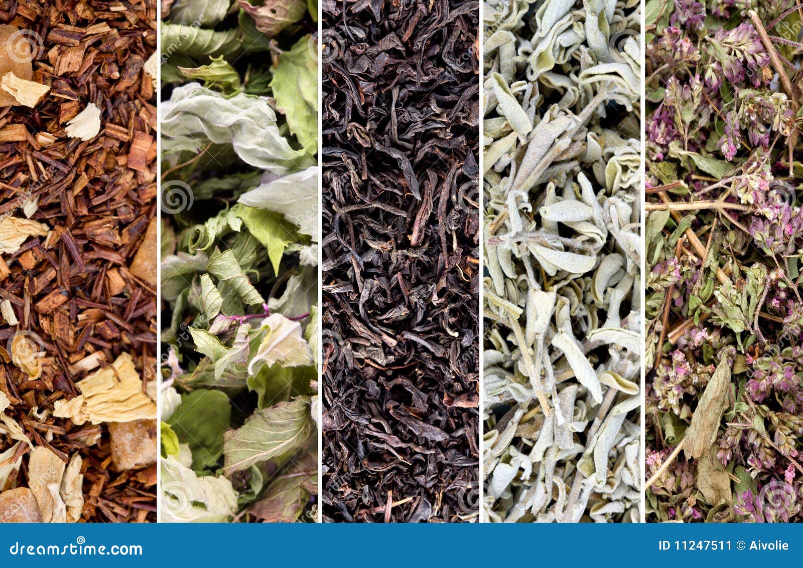 Herbs and tea collection stock image. Image of fruity - 11247511