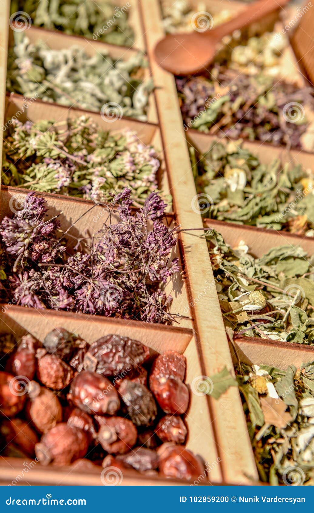 Herbs for Tea . Herbs and Tea Collection . Stock Photo - Image of herbs ...