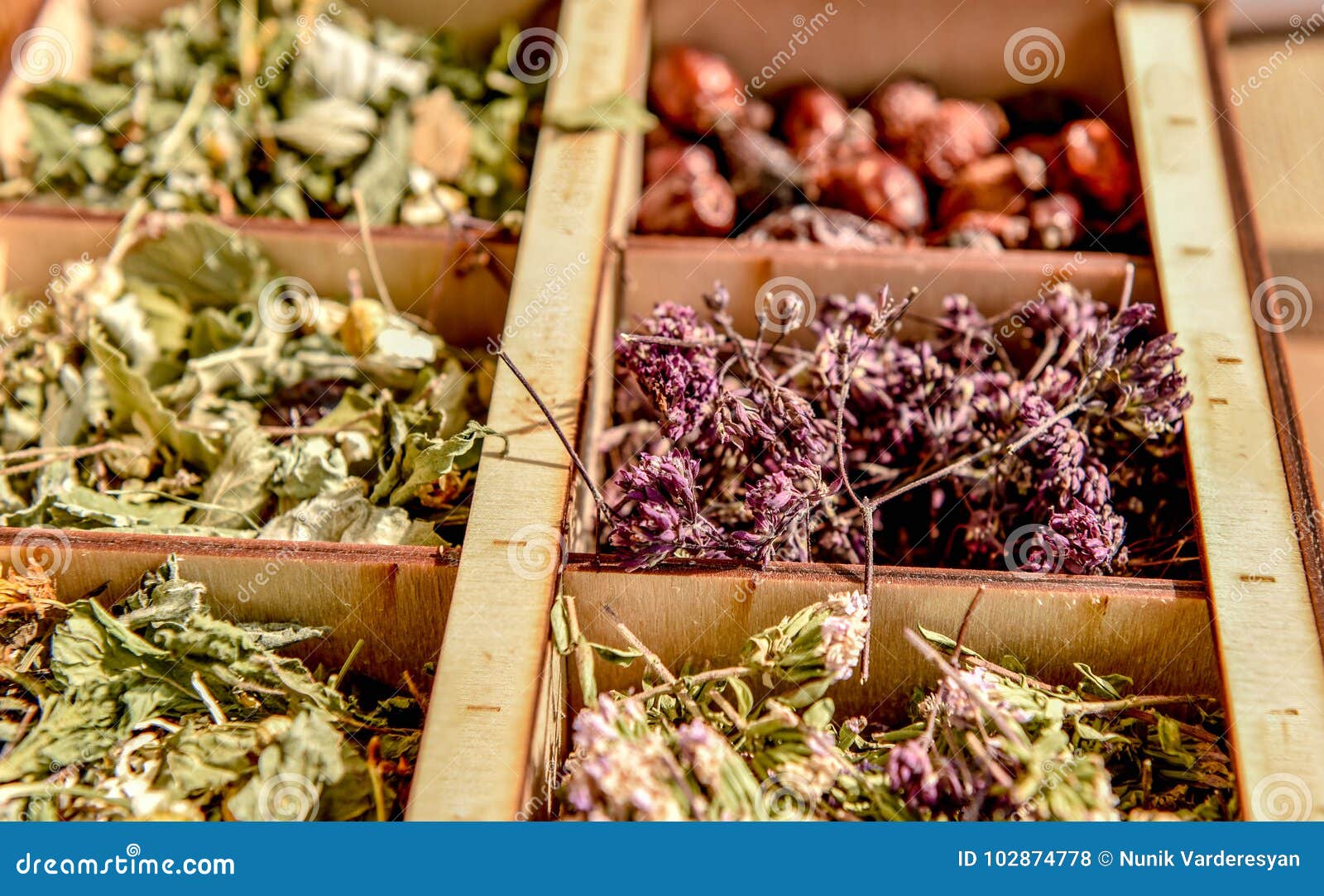Herbs for Tea . Herbs and Tea Collection . Stock Photo - Image of ...