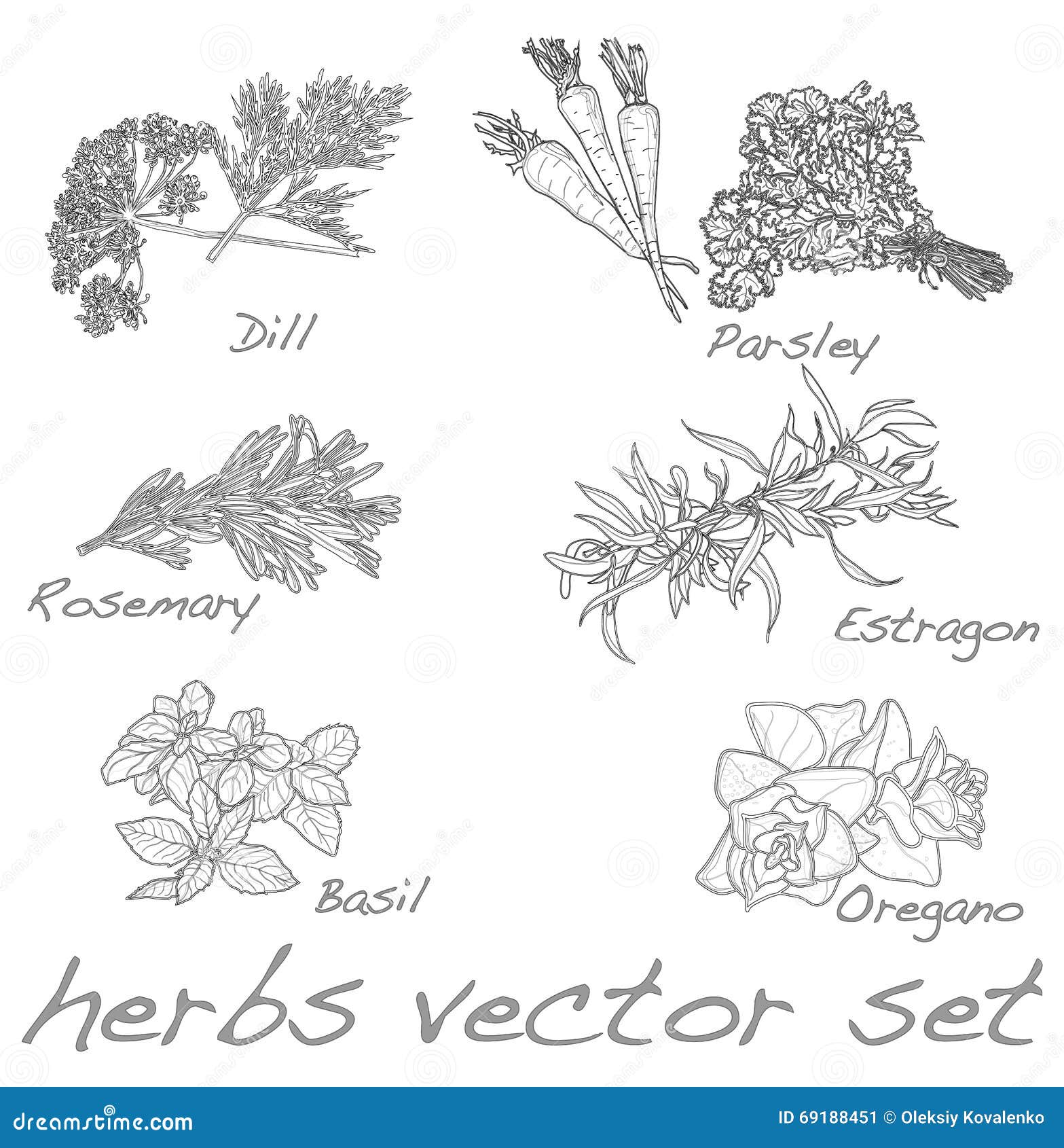 Herbs vector set stock vector. Illustration of green - 69188451