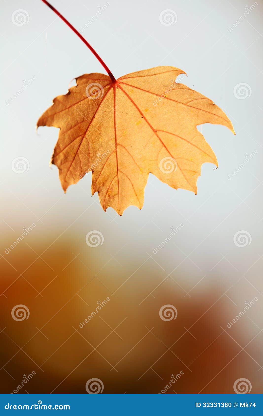 Herbstblatt stockfoto. Bild von vorgewählt, vertikal - 32331380