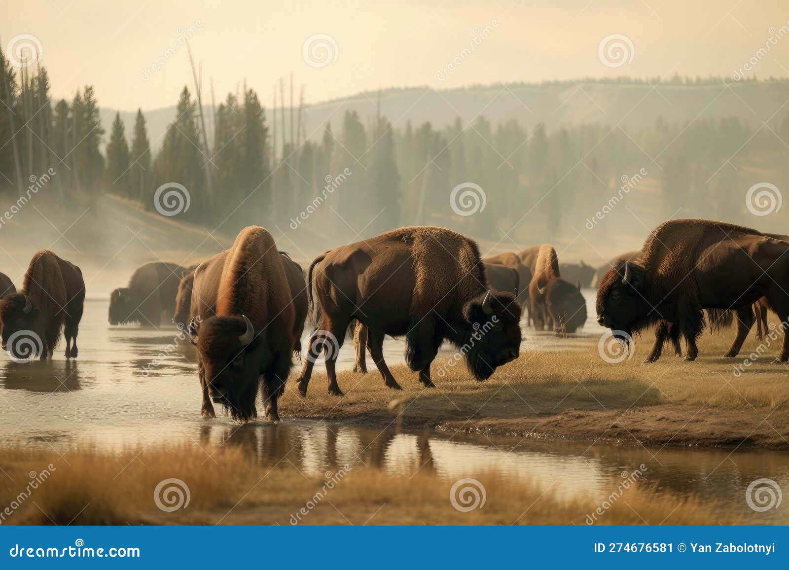A Herd of Bison Grazing Near a River. Generative AI Stock Illustration ...