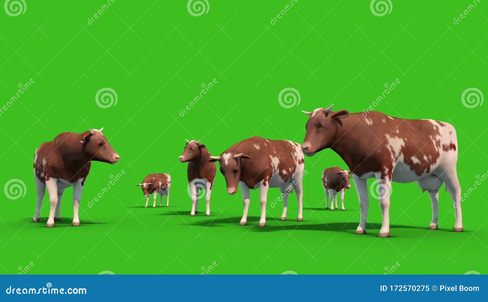 Cows Animation Stock Footage & Videos - 143 Stock Videos