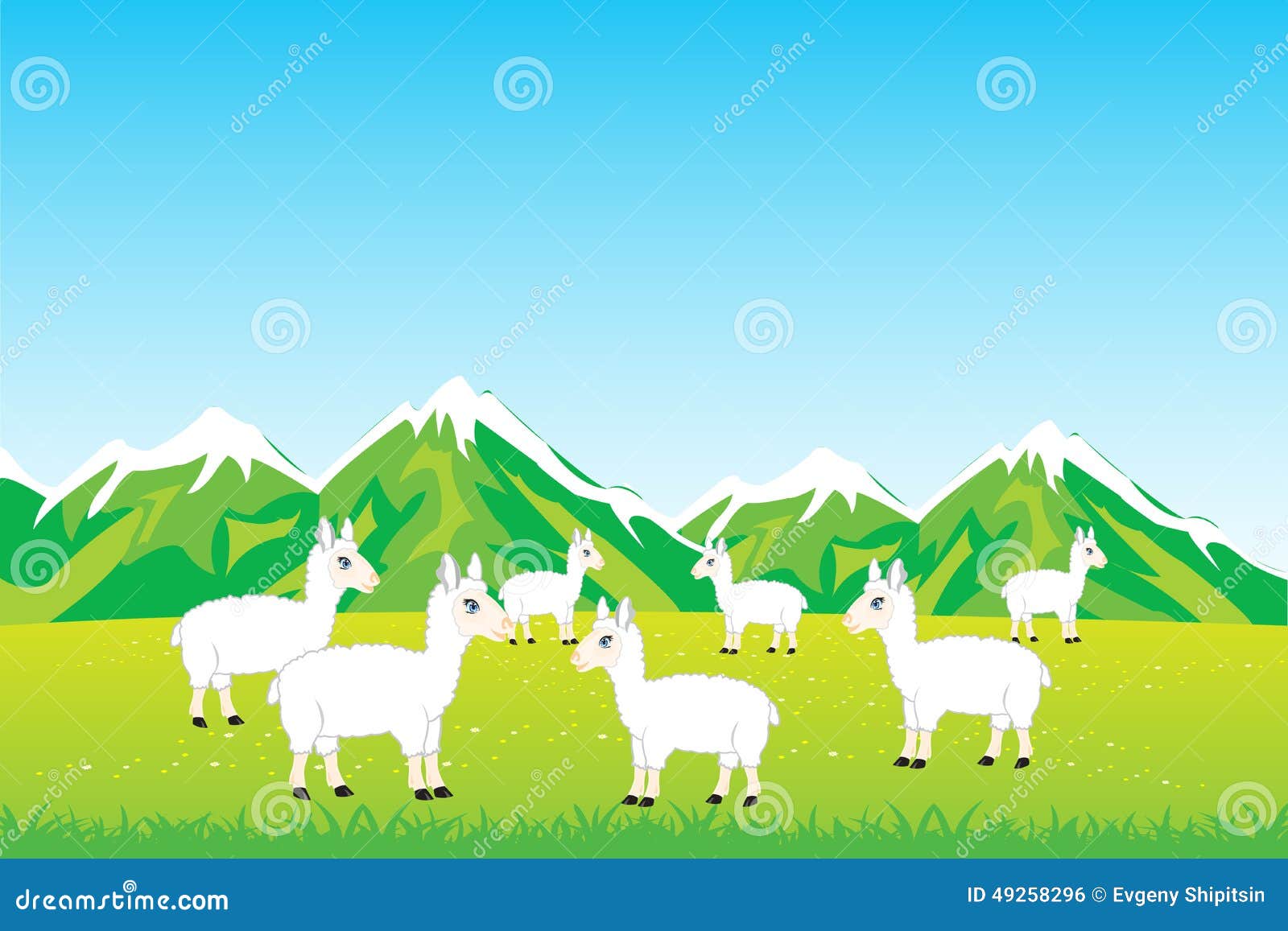 Herd sheep in field stock vector. Illustration of landscape - 49258296