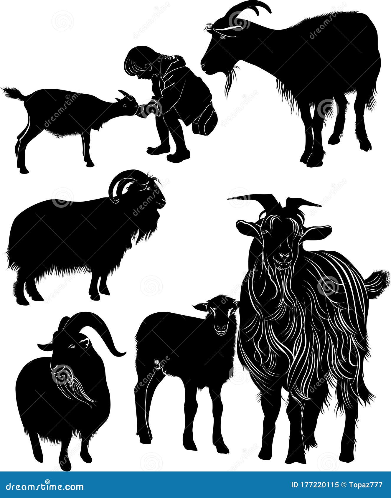 Herdeiro Do Vetor De Recolha De Caprinos Ilustração do Vetor ...